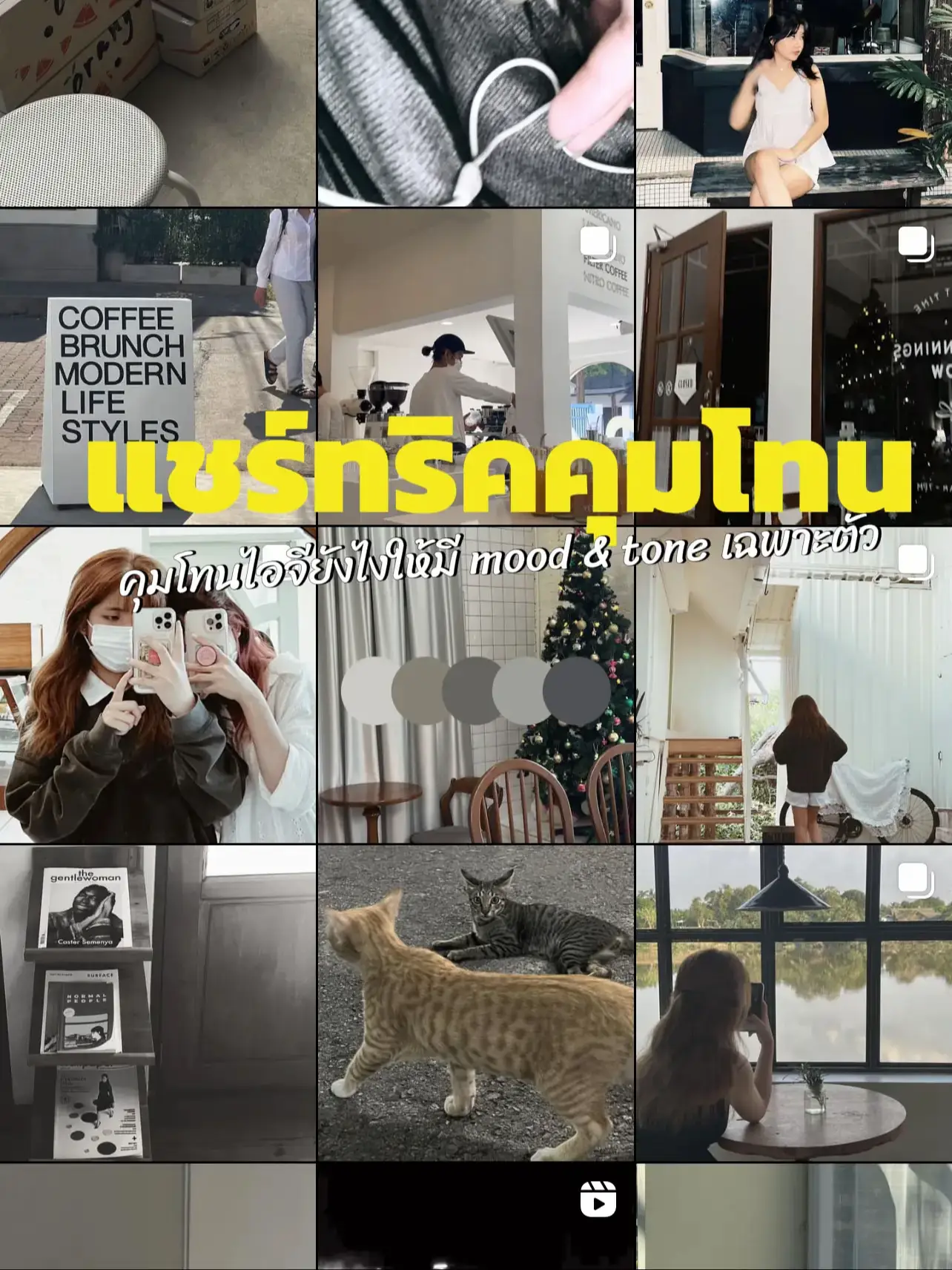 mood and tone cafe - การค้นหาใน Lemon8