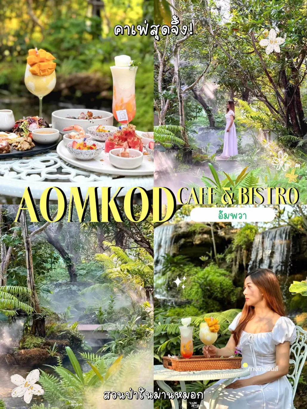 🌳☕️ 𝐀𝐨𝐦𝐤𝐨𝐝 𝐂𝐚𝐟𝐞 & 𝐁𝐢𝐬𝐭𝐫𝐨 🪨🌳 #อัมพวา | แกลเลอรีที่โพสต์โดย อยากรีวิว | Lemon8