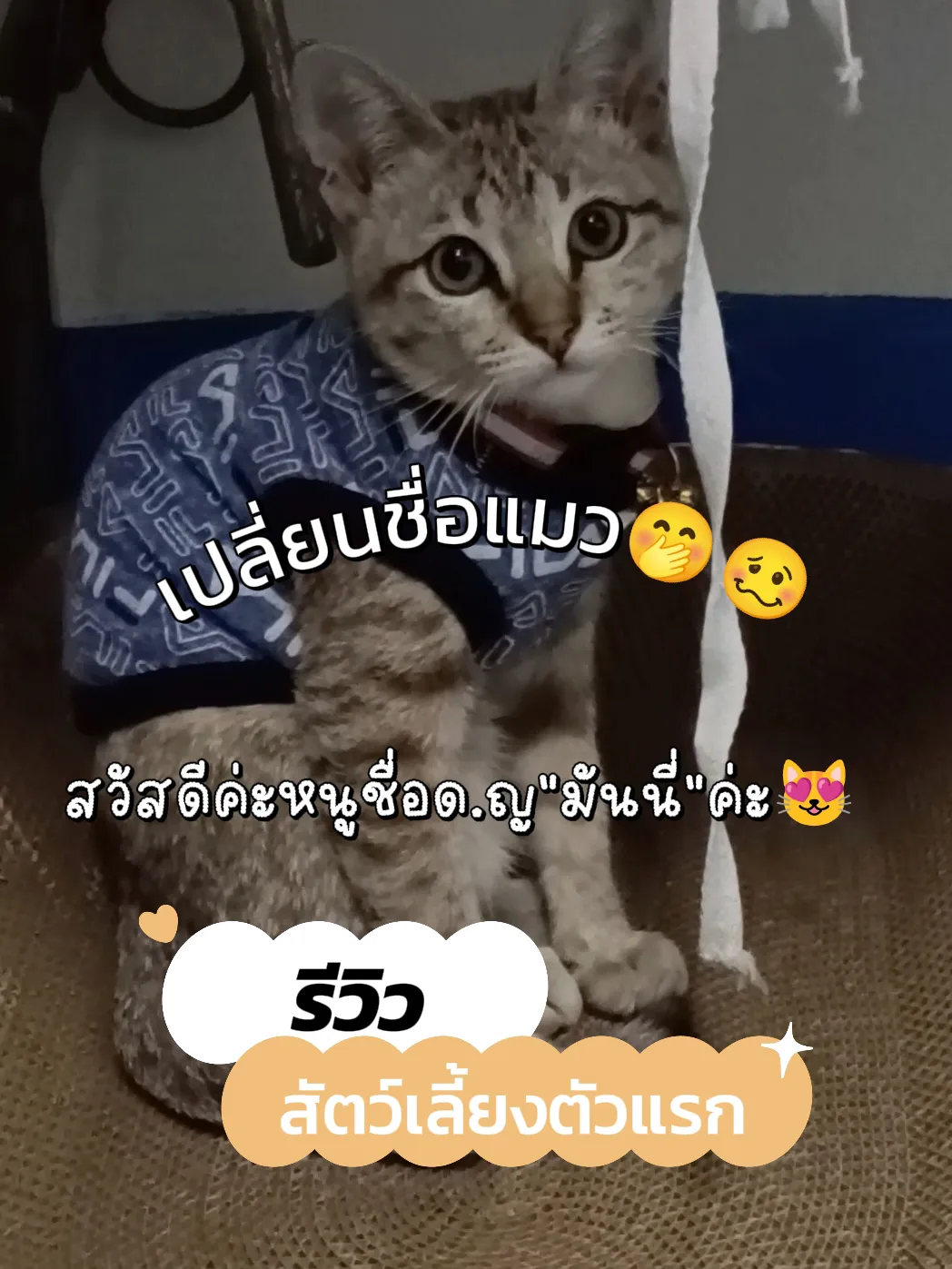 สวัสดีค่ะหนูชื่อด ญมันนี่ค่ะ😻 แกลเลอรีที่โพสต์โดย มนุษย์เป็ด42 ️