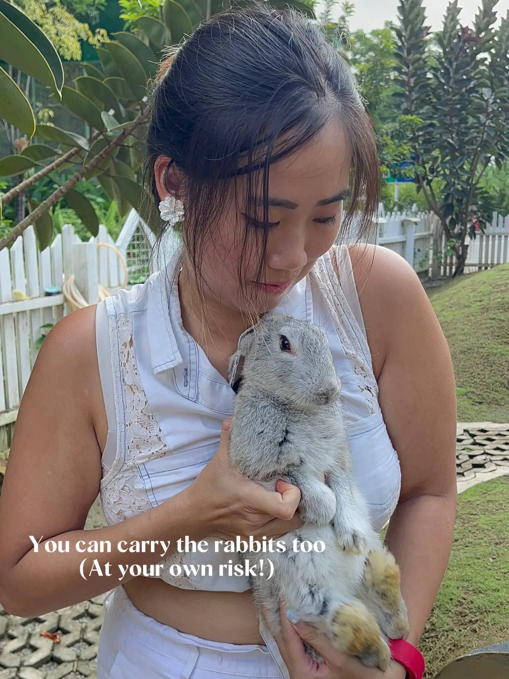 Batam Dog Cafe - Lemon8 Search