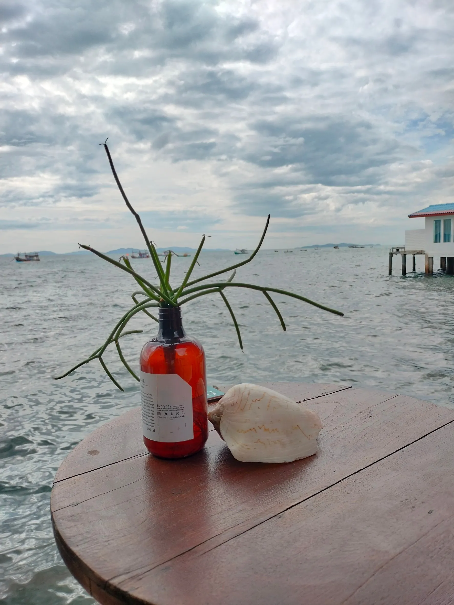 Fat | แกลเลอรีที่โพสต์โดย Aor | Lemon8