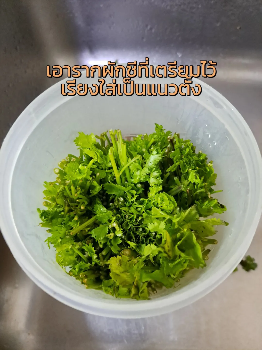 รีวิวเหล้าBlue finest - การค้นหาใน Lemon8