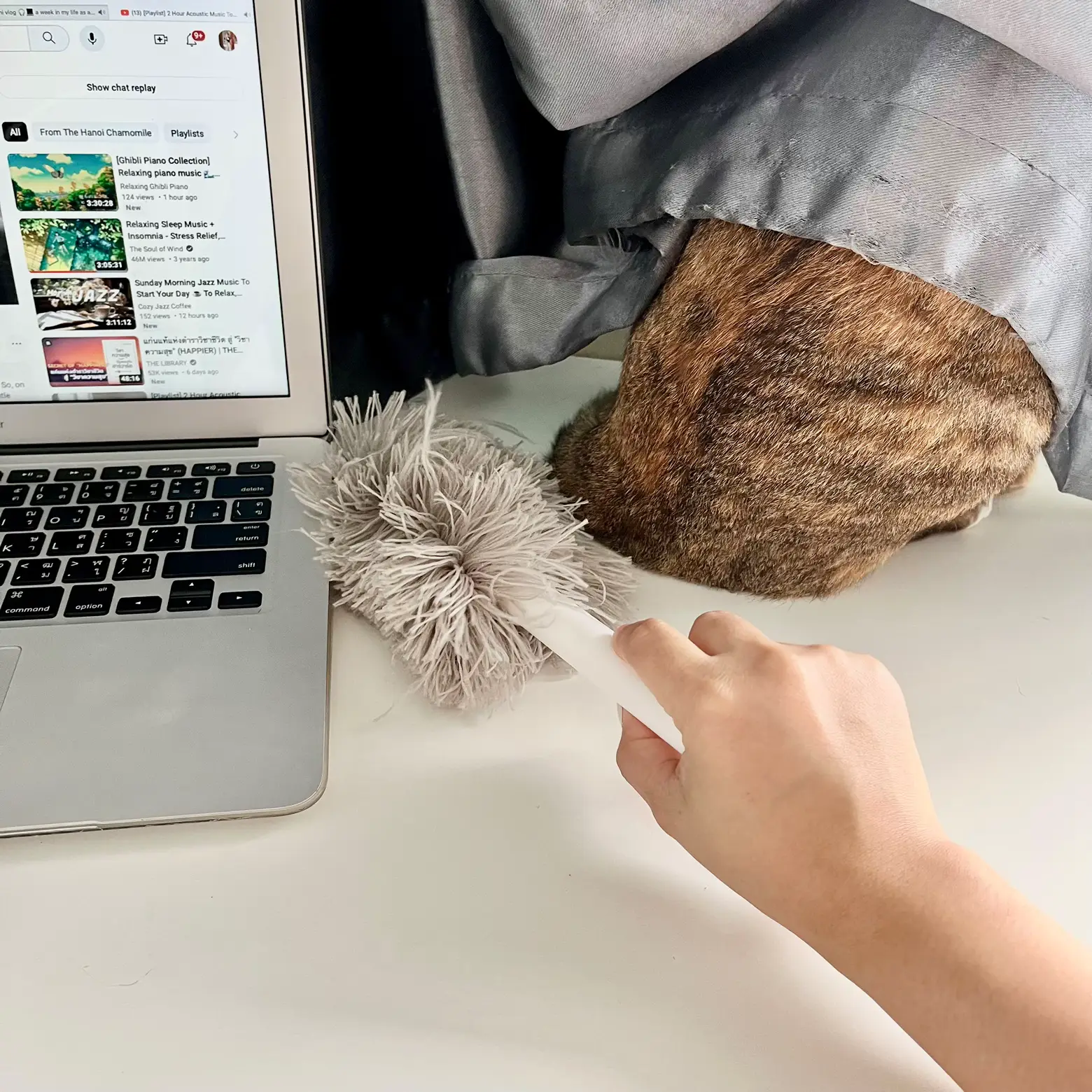 🤍 Daiso สินค้าสไตล์ญี่ปุ่น :🧺) | Gallery posted by 𝒐𝒖𝒎𝒐𝒊𝒎 ♡ッ | Lemon8