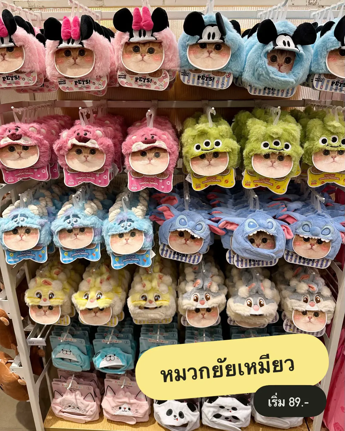 อัปเดต Miniso Ep. 1 | แกลเลอรีที่โพสต์โดย punpromotion | Lemon8