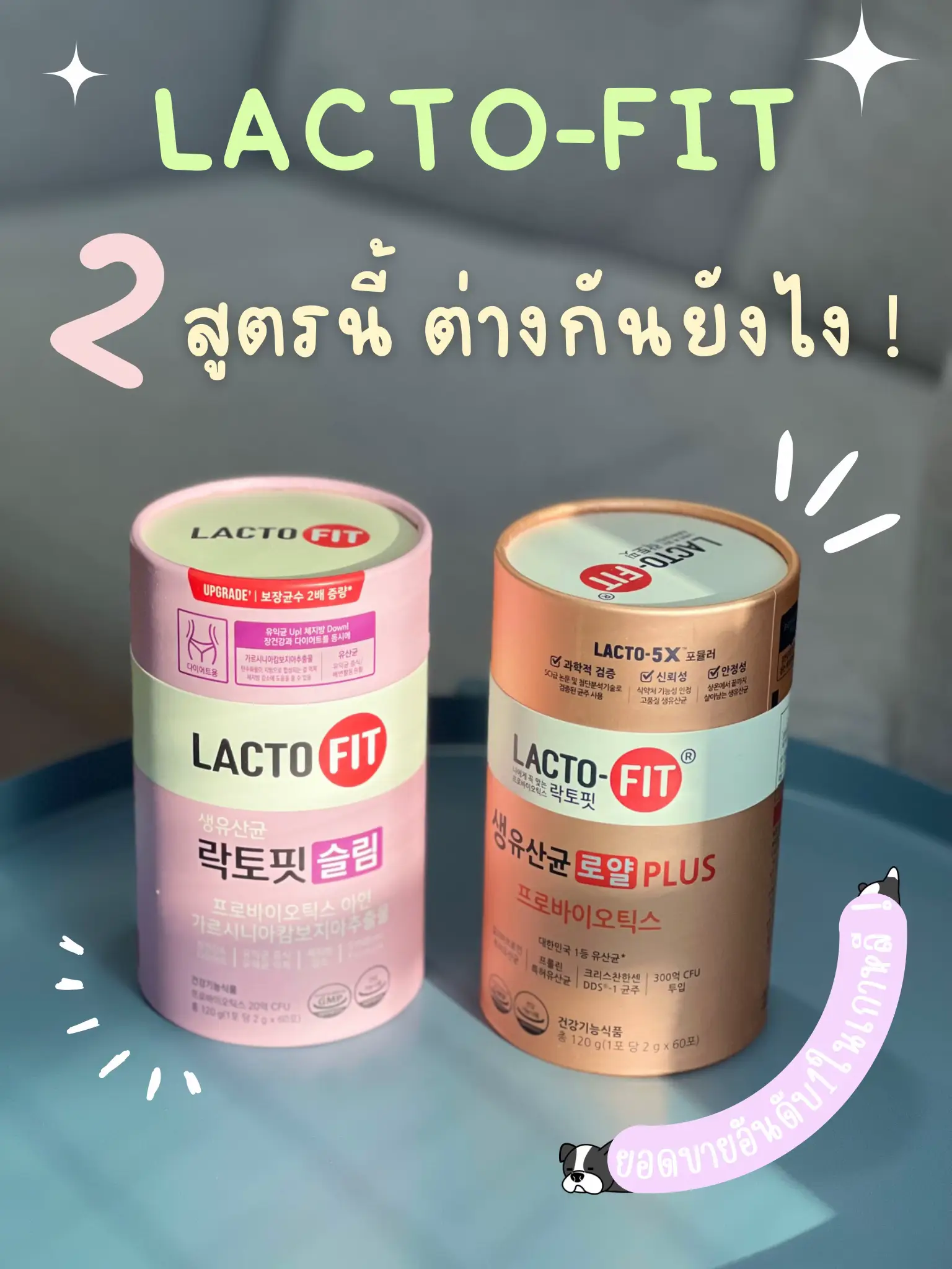 🍋 Review of LACTO-FIT Probiotics Famous in Korea! 🇰🇷 | Gallery posted ...