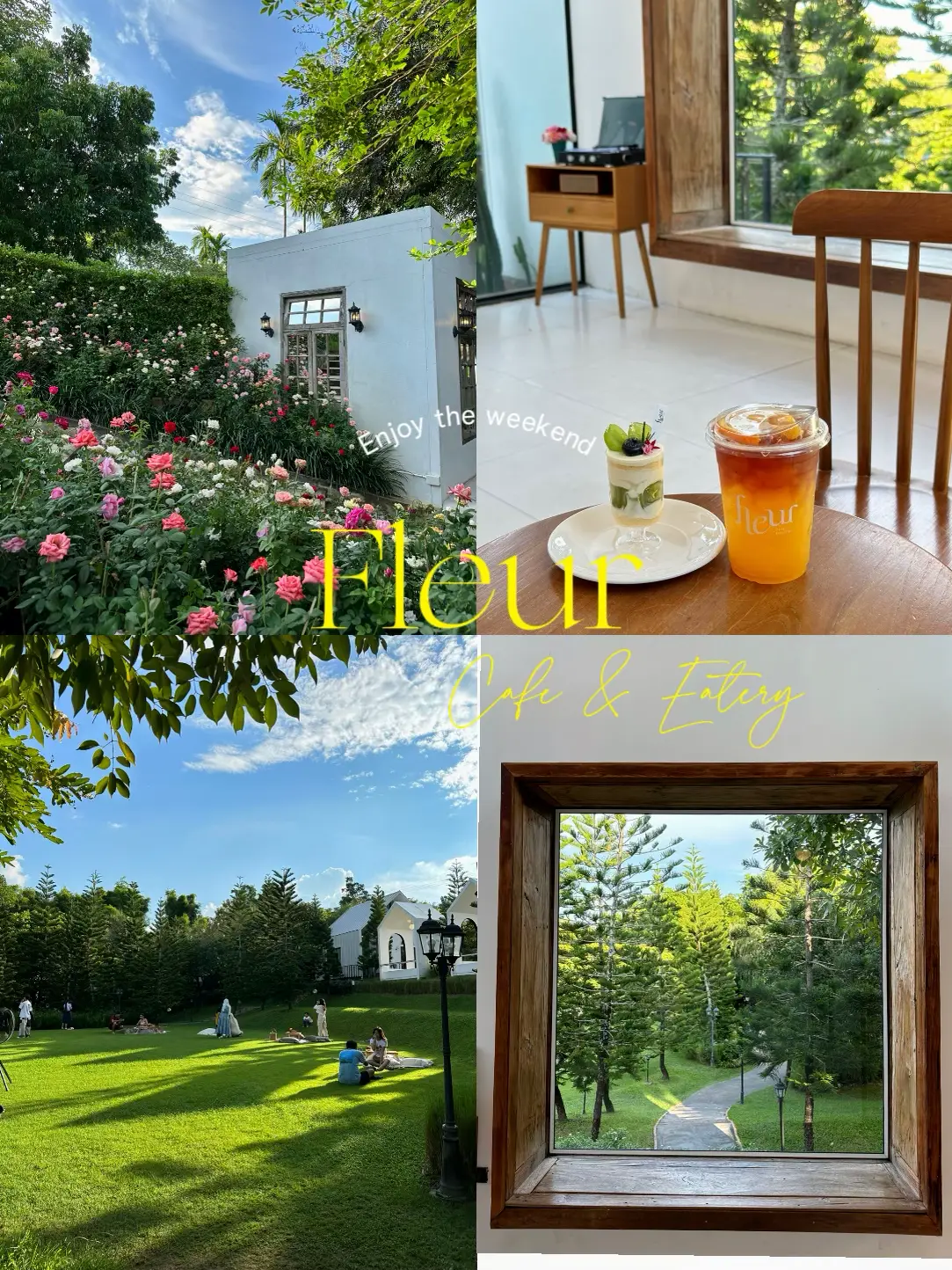 Fleur Cafe & Eatery 💐คาเฟ่ดอกกุหลาบย่านแม่ริม | แกลเลอรีที่โพสต์โดย ...