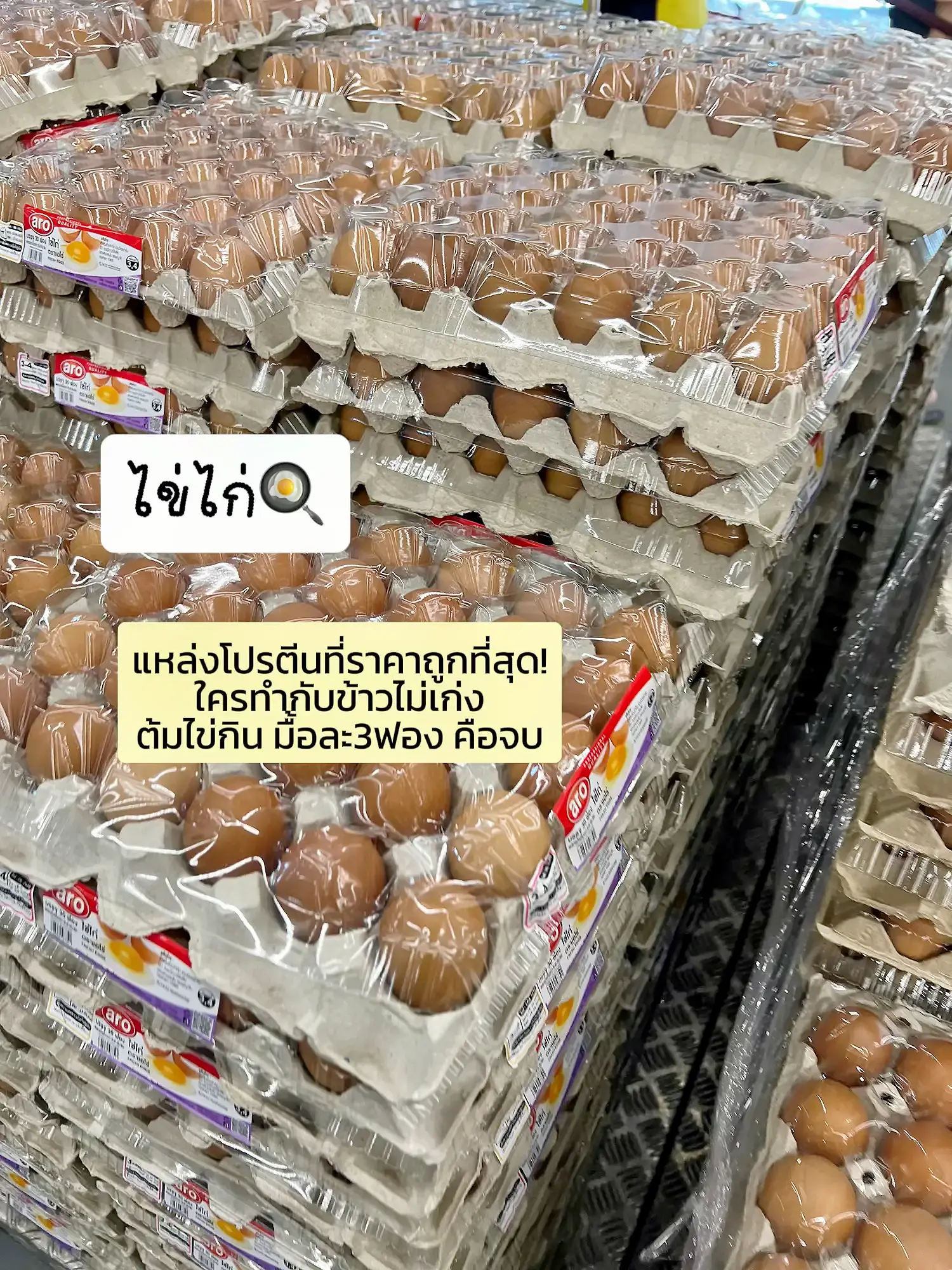 ซื้อไรดี ที่แมคโคร🛒🍎🥬 | แกลเลอรีที่โพสต์โดย roployro🍮 | Lemon8