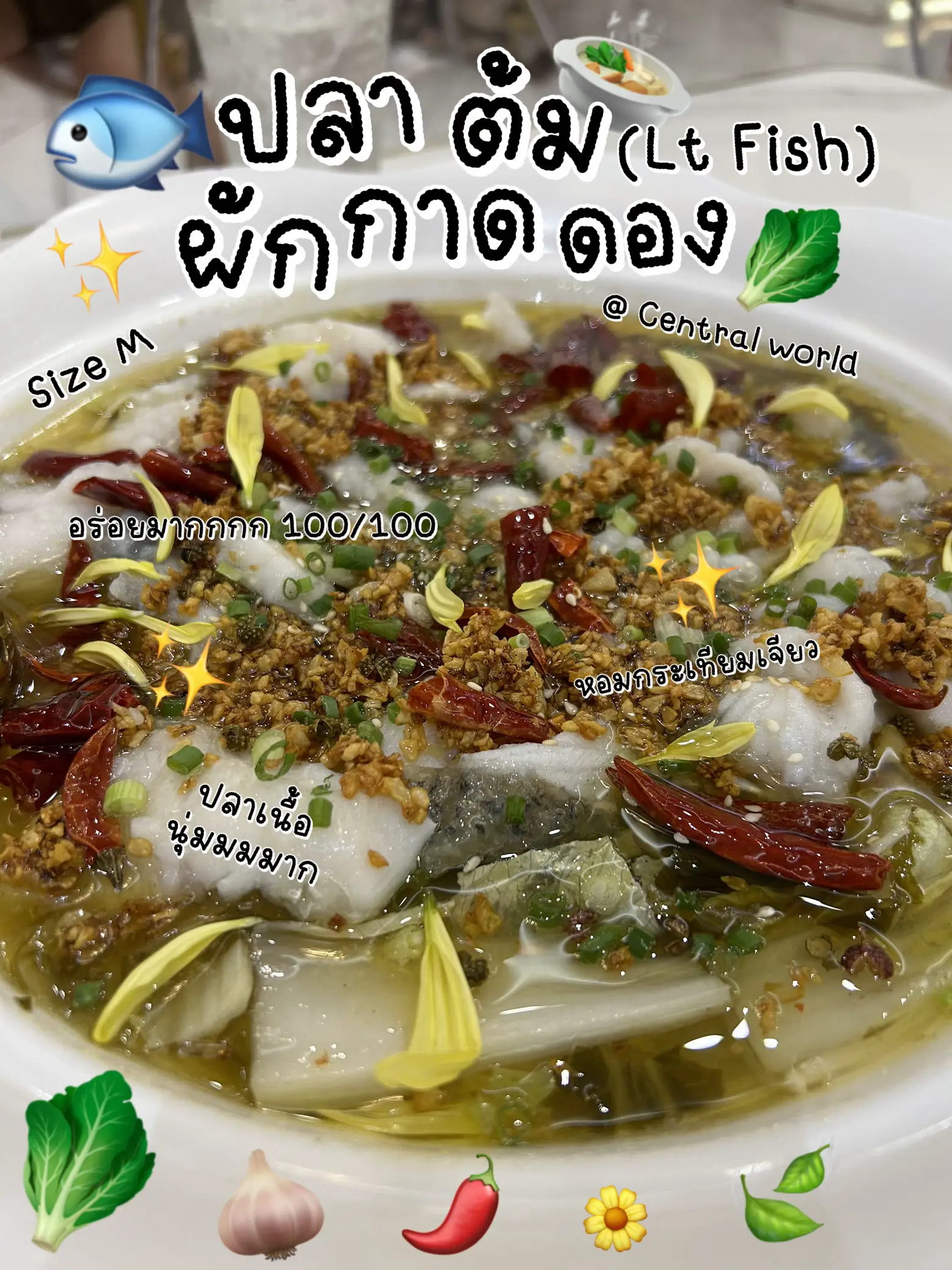 🐟ปลาต้มผักกาดดอง (Lt Fish) อร่อยเกินไปมั้ยย 100/100 🍲🥬 | แกลเลอรีที่โพสต์โดย 15Junstory | Lemon8