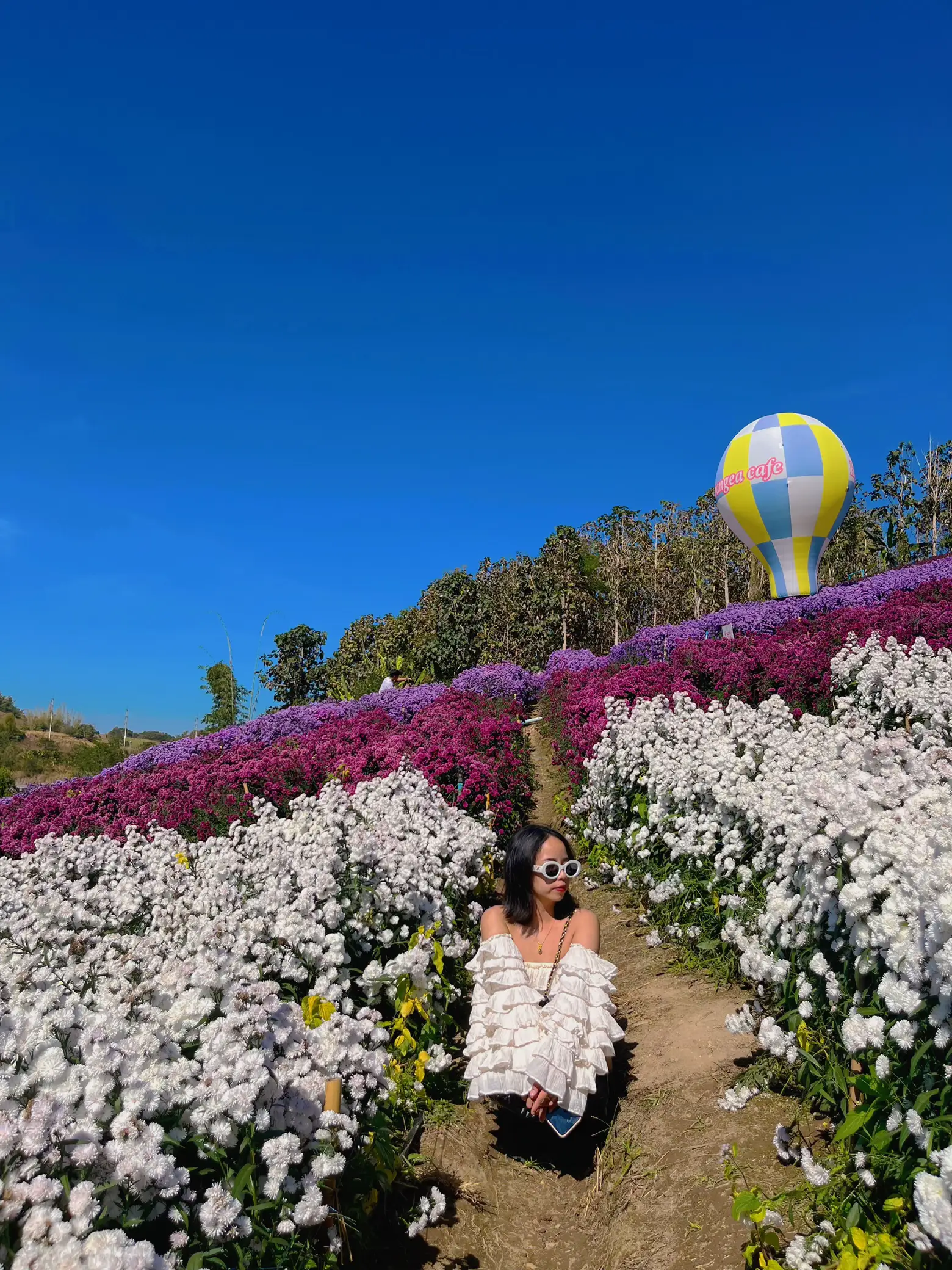 คาเฟ่สุดฮิต ! ไฮเดรนเยียคาเฟ่ เขาค้อ | แกลเลอรีที่โพสต์โดย Wee Weerawan | Lemon8