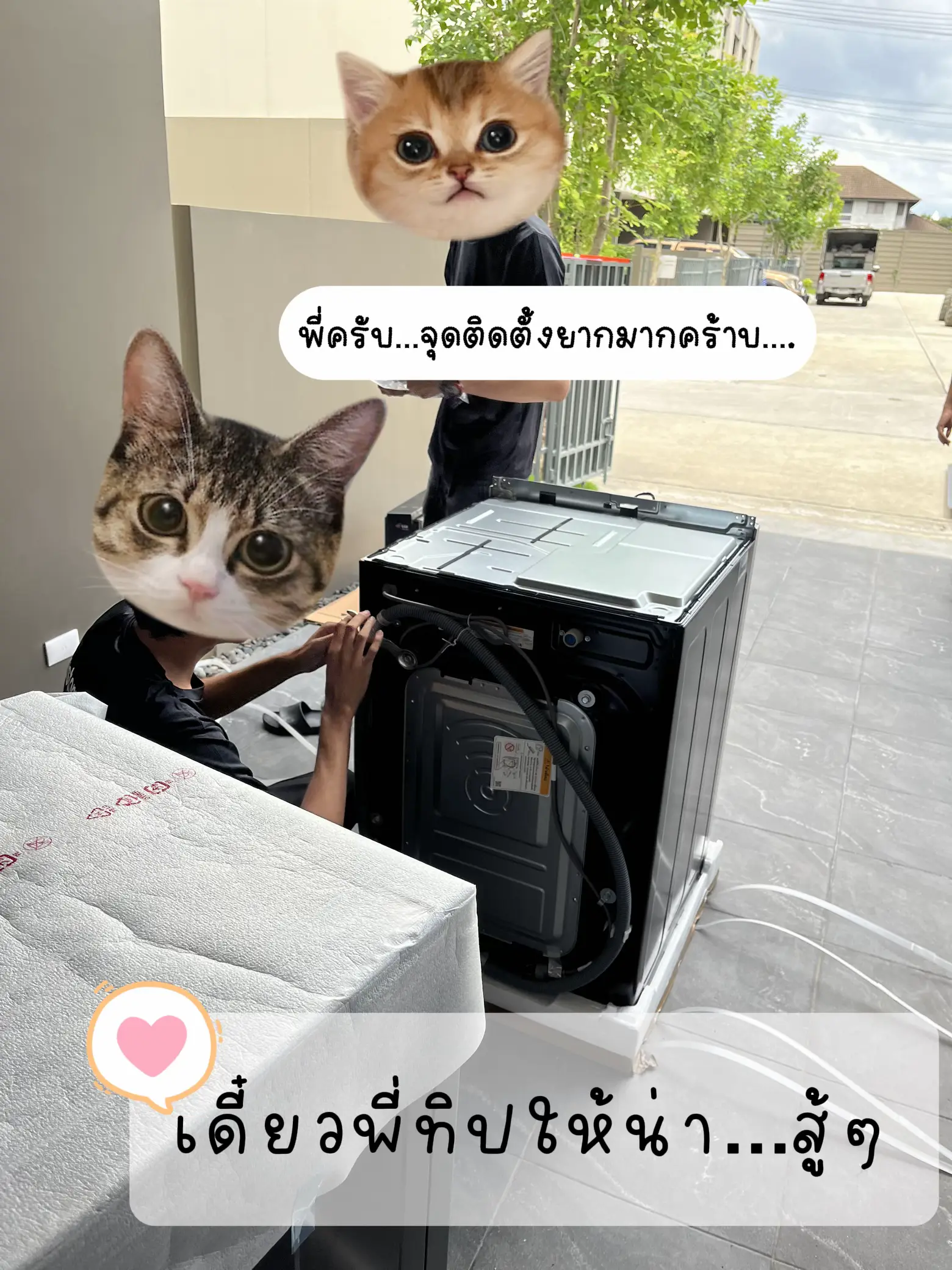 เนรมิตห้องน้ำชั้น 1 เป็นห้องซัก-อบ กันเถอะ!! | แกลเลอรีที่โพสต์โดย Moobin Cuddle | Lemon8