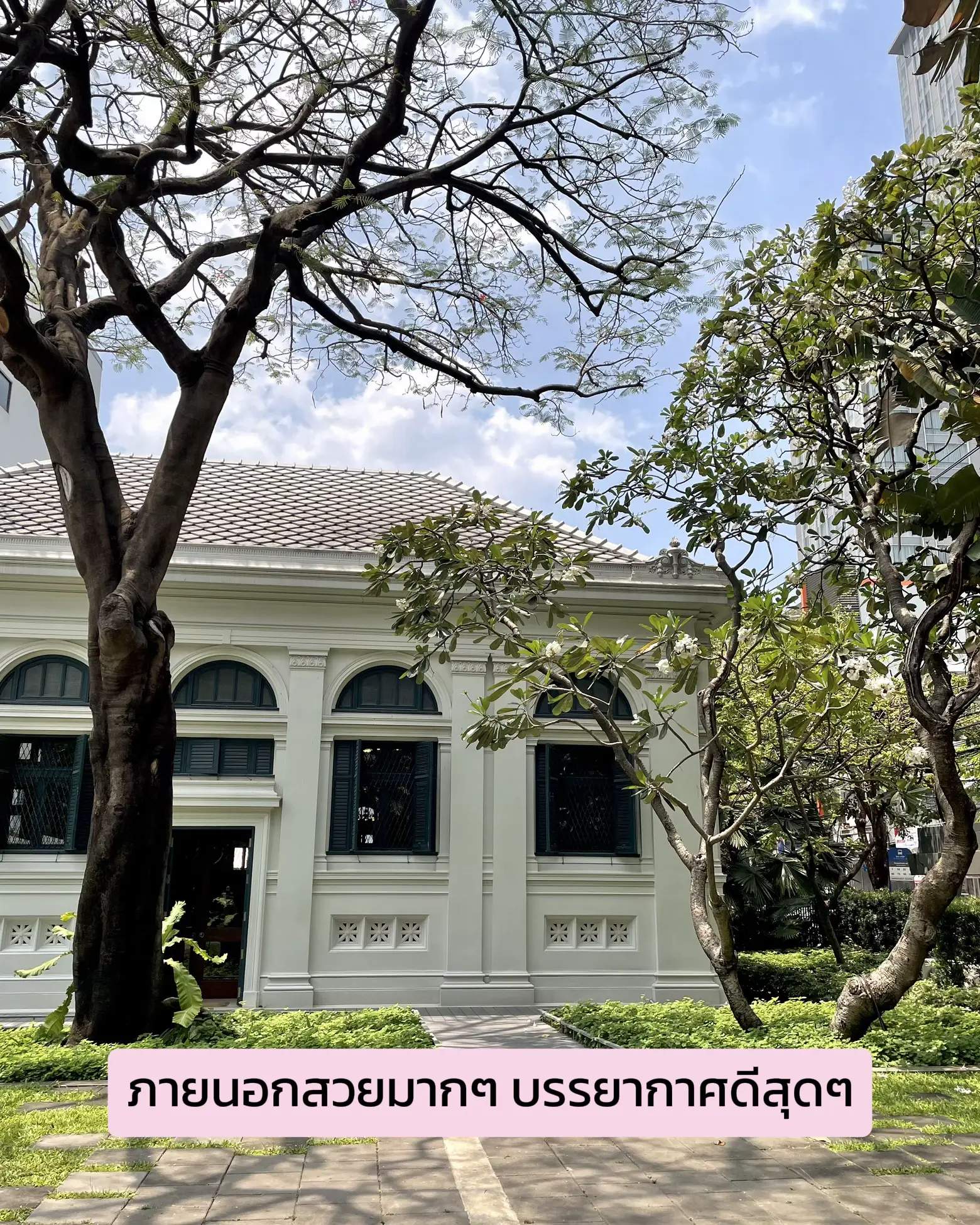 Neilson Hays Library | ห้องสมุดพักใจ 📚 | แกลเลอรีที่โพสต์โดย heart ...