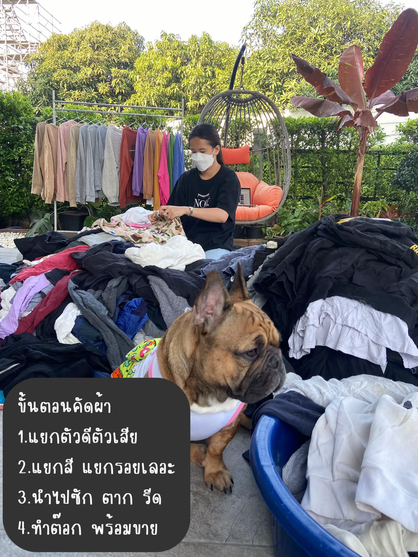 อาชีพทำเงินช่วงหน้าหนาว☃️ แกลเลอรีที่โพสต์โดย ᴘɪᴍᴍʏ꙳꒰• ̎•꒱꙳ Lemon8