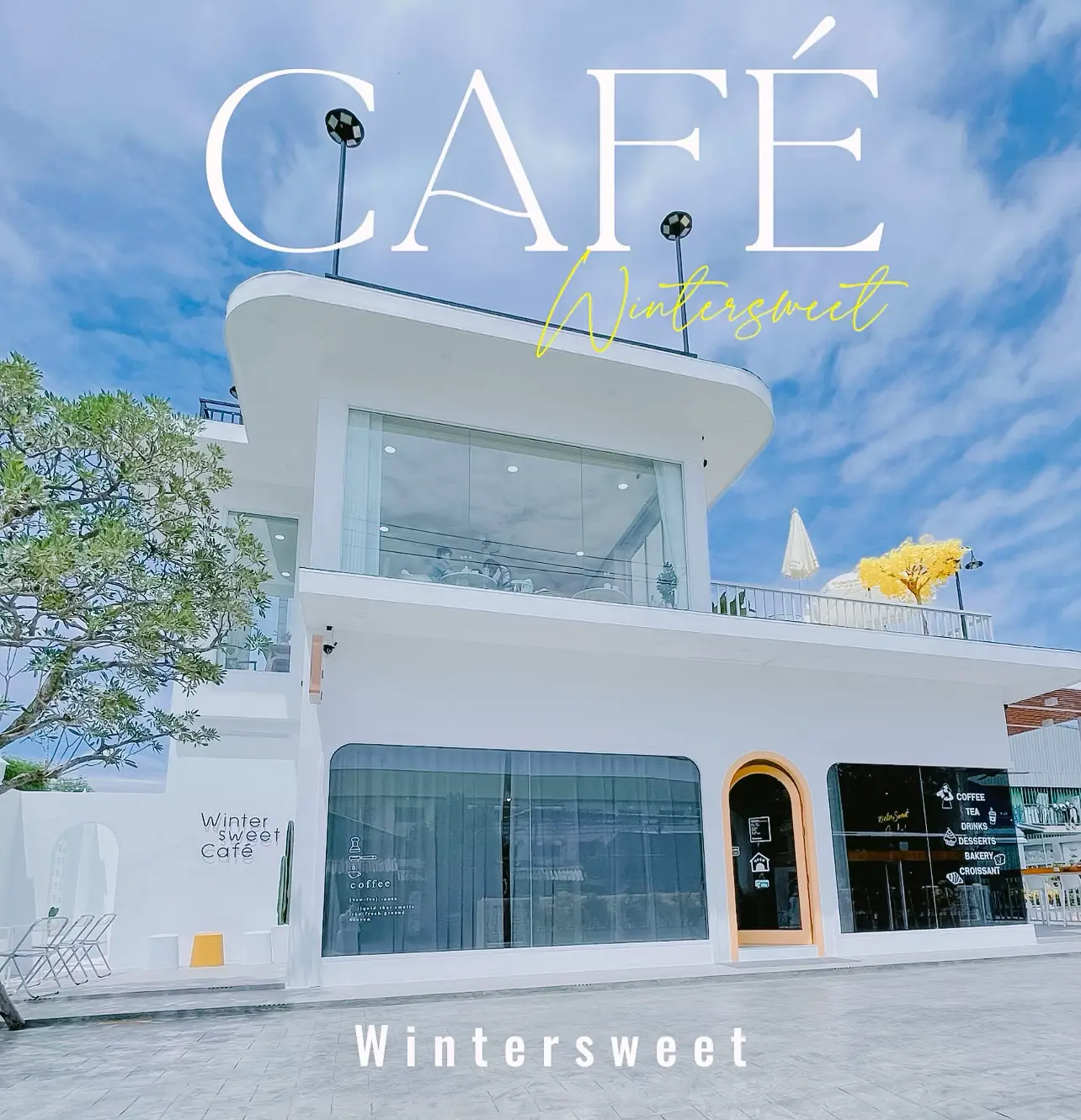 WinterSweet Cafe’ 📍คาเฟ่ใหม่ย่านบางปู | แกลเลอรีที่โพสต์โดย Bombam ...