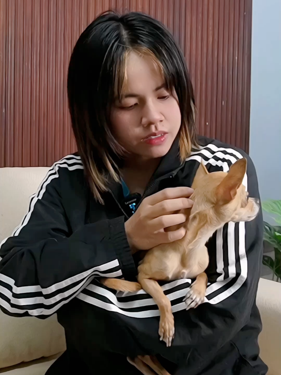 YOUTHFUL FUNCTION | วิดีโอที่เผยแพร่โดย petheria DOG | Lemon8