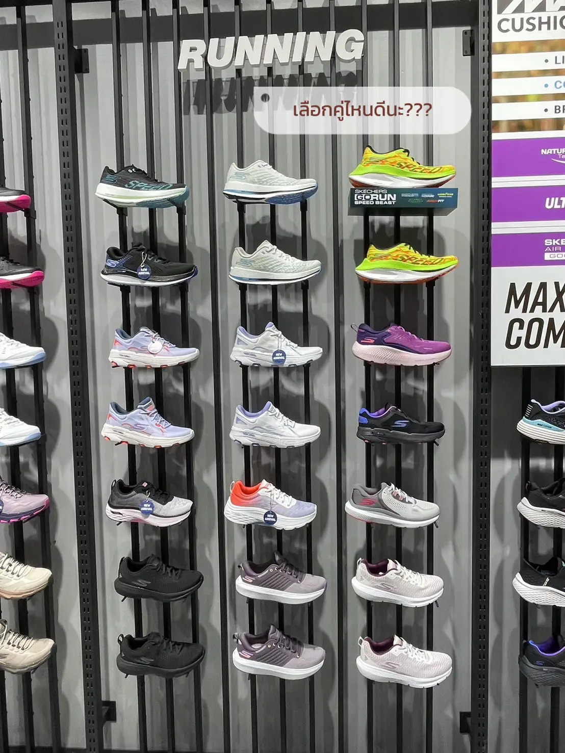 ซื้อรองเท้าวิ่งครั้งแรก "Skechers Women GOrun Balance3" | แกลเลอรีที่ ...