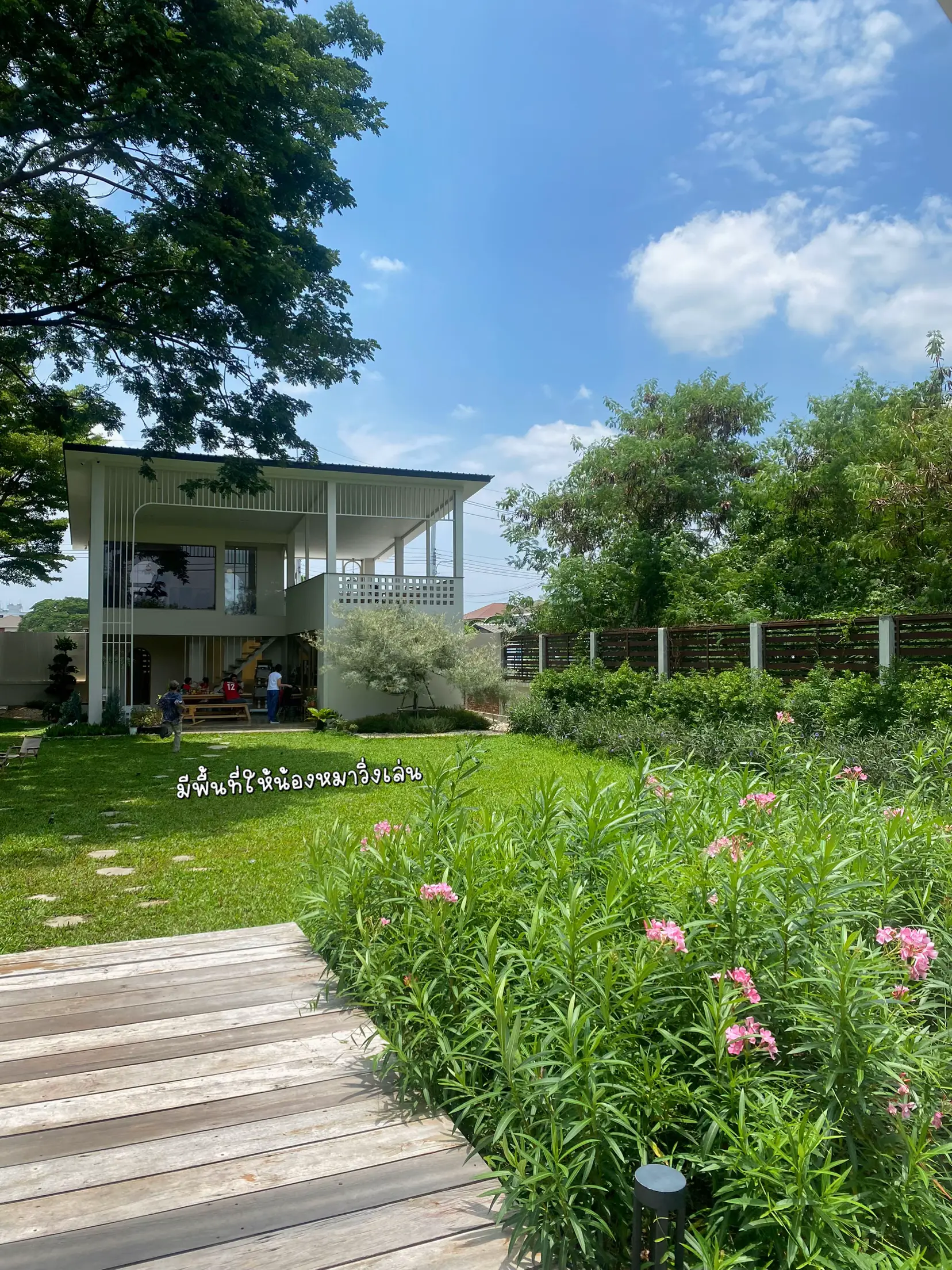 คาเฟ่ที่ให้ความรู้สึก เหมือนมาบ้านเพื่อน 👵🏻💖 | แกลเลอรีที่โพสต์โดย nudh ...