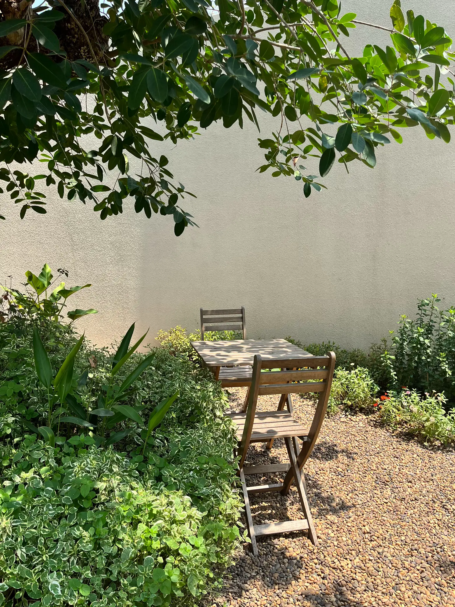 🍰คาเฟ่มู๊ดดีที่สระบุรี : Ralph Cafe ห้ามพลาด🍓 | แกลเลอรีที่โพสต์โดย thita.p__98 | Lemon8