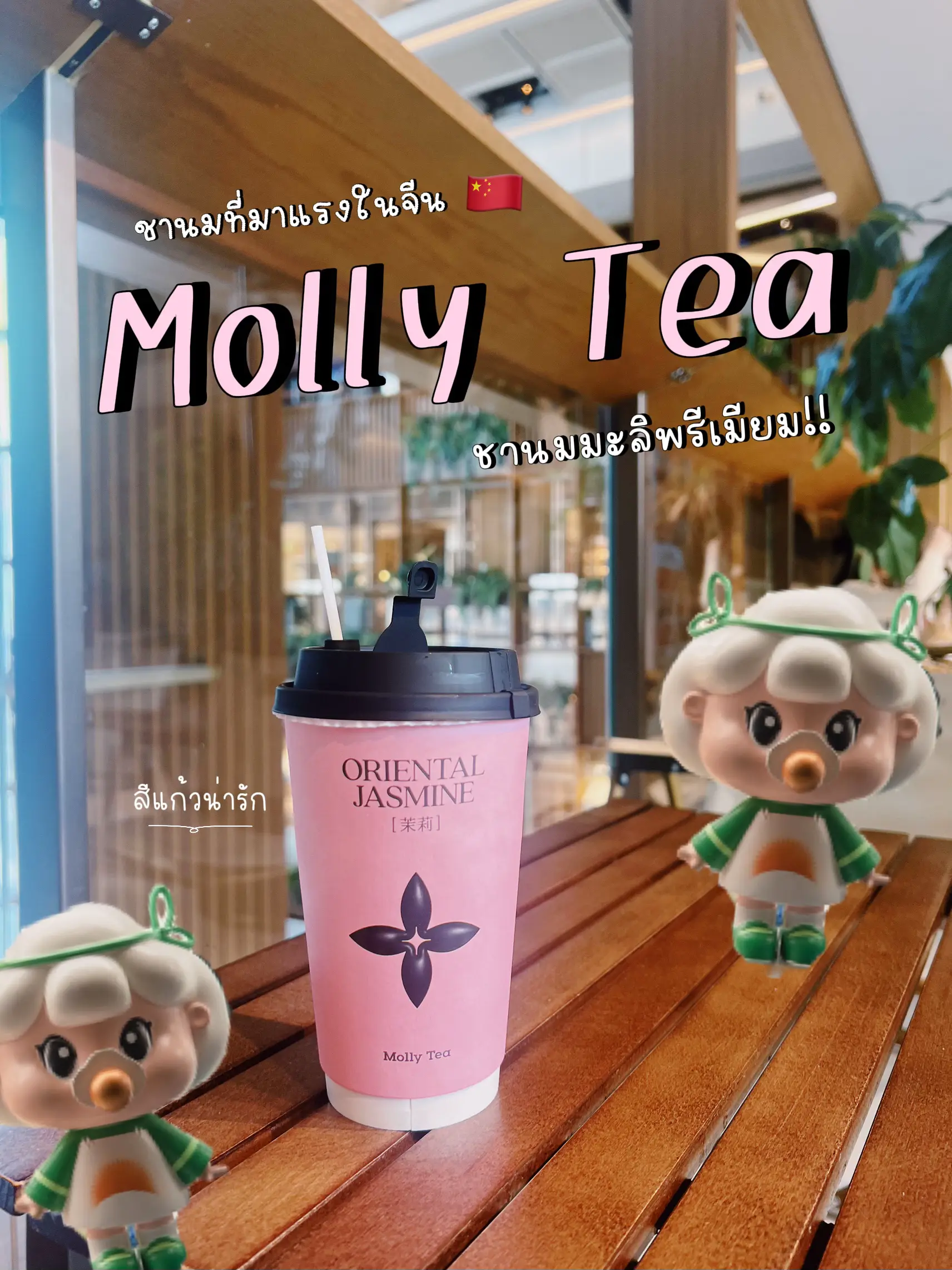 MOLLY TEA ชานมมะลิพรีเมียม แก้วชมพู 💞💗 | แกลเลอรีที่โพสต์โดย Net さん ...