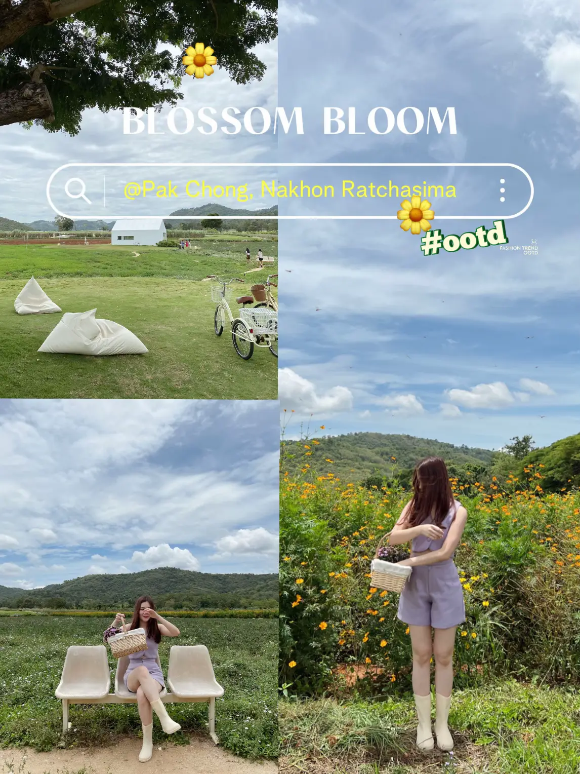 Blossom bloom🌼| คาเฟ่สวนดอกไม้สุดคิ้วฟีลเกาหลี น่ารักไม่ไหว💖 | แกลเลอรีที่โพสต์โดย 「 JAYJUN ...