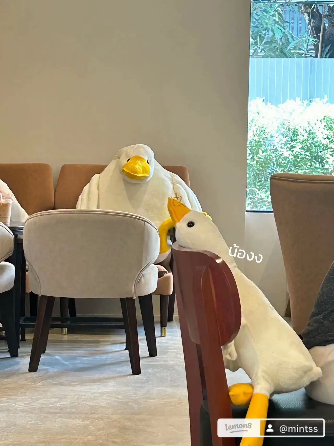 คาเฟ่เปิดใหม่สุดคริ้ว! Goosta Cafe☀️🪿 | แกลเลอรีที่โพสต์โดย Mintsrc ...