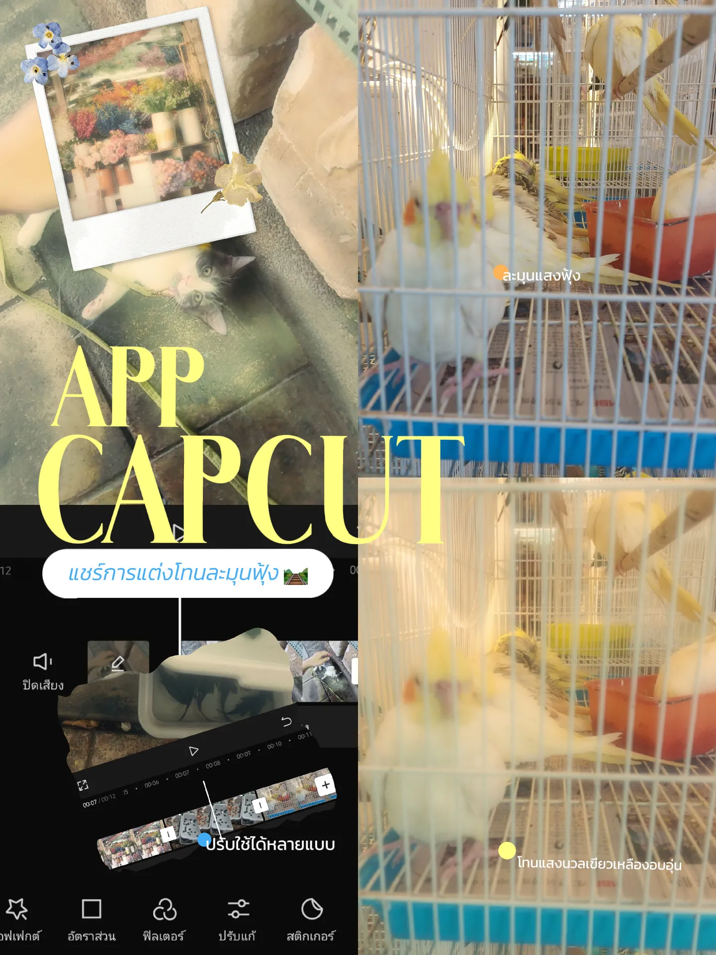 แชร์การแต่งภาพวิดีโอโทนละมุนฟุ้ง 🪄 App Capcut!¡ | แกลเลอรีที่โพสต์โดย warmwinter | Lemon8