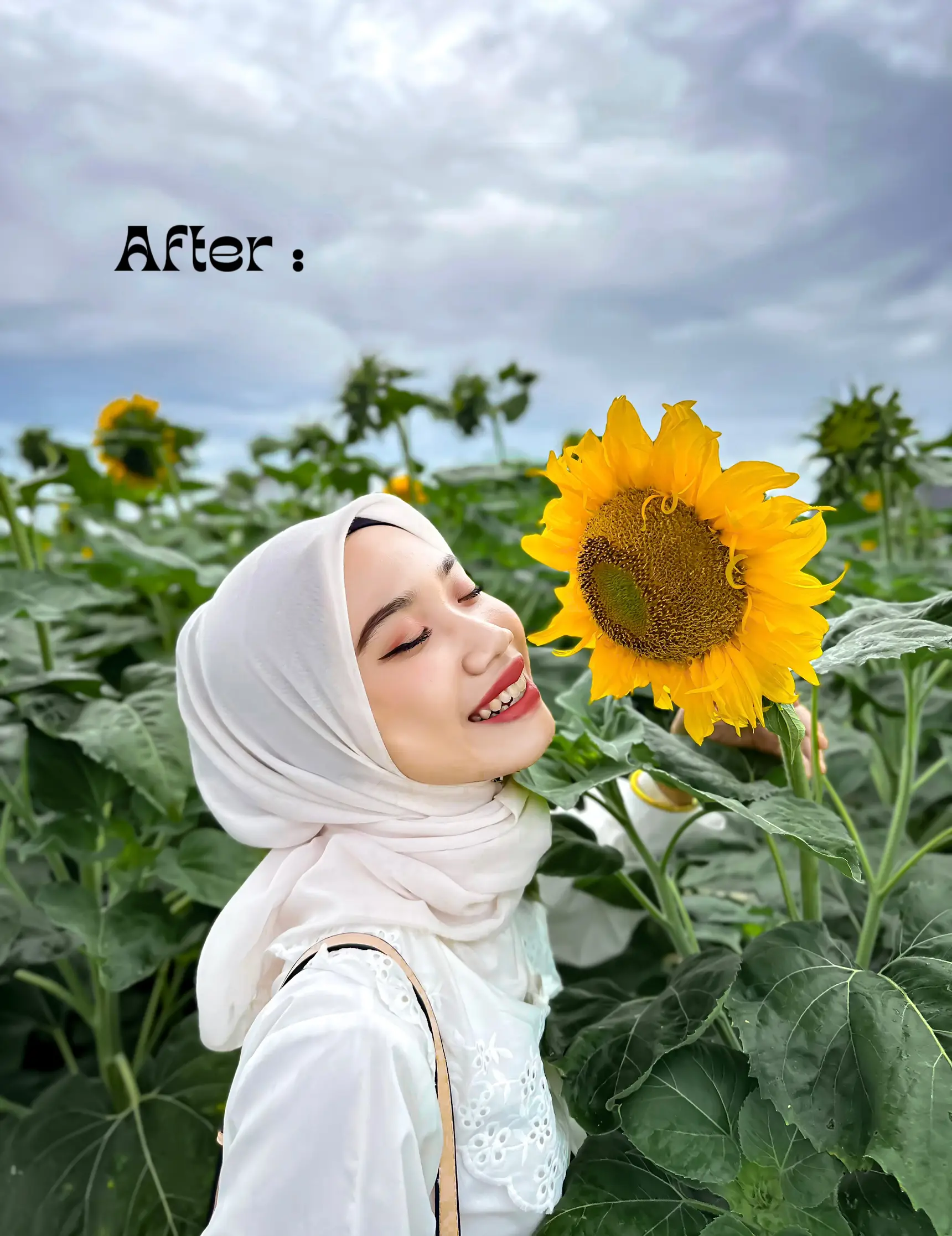 SUNFLOWER EDITING LIGHTROOM 🌻 | แกลเลอรีที่โพสต์โดย Cinderella 👠 | Lemon8