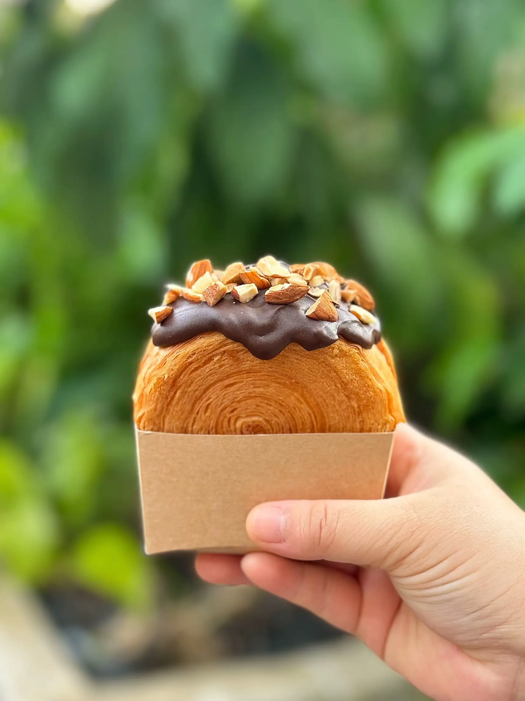 Timber Ring | แกลเลอรีที่โพสต์โดย new | Lemon8