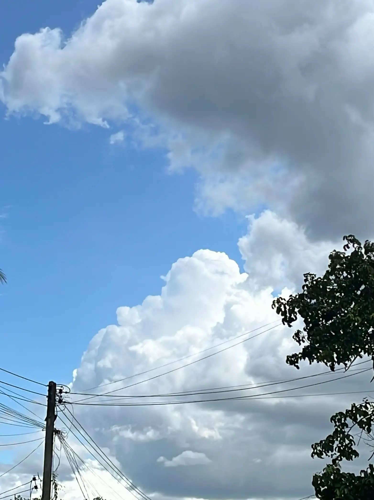 Review Iphone13 หลังจากใช้งานมา 1 เดือน | แกลเลอรีที่โพสต์โดย onni 🩷 | Lemon8