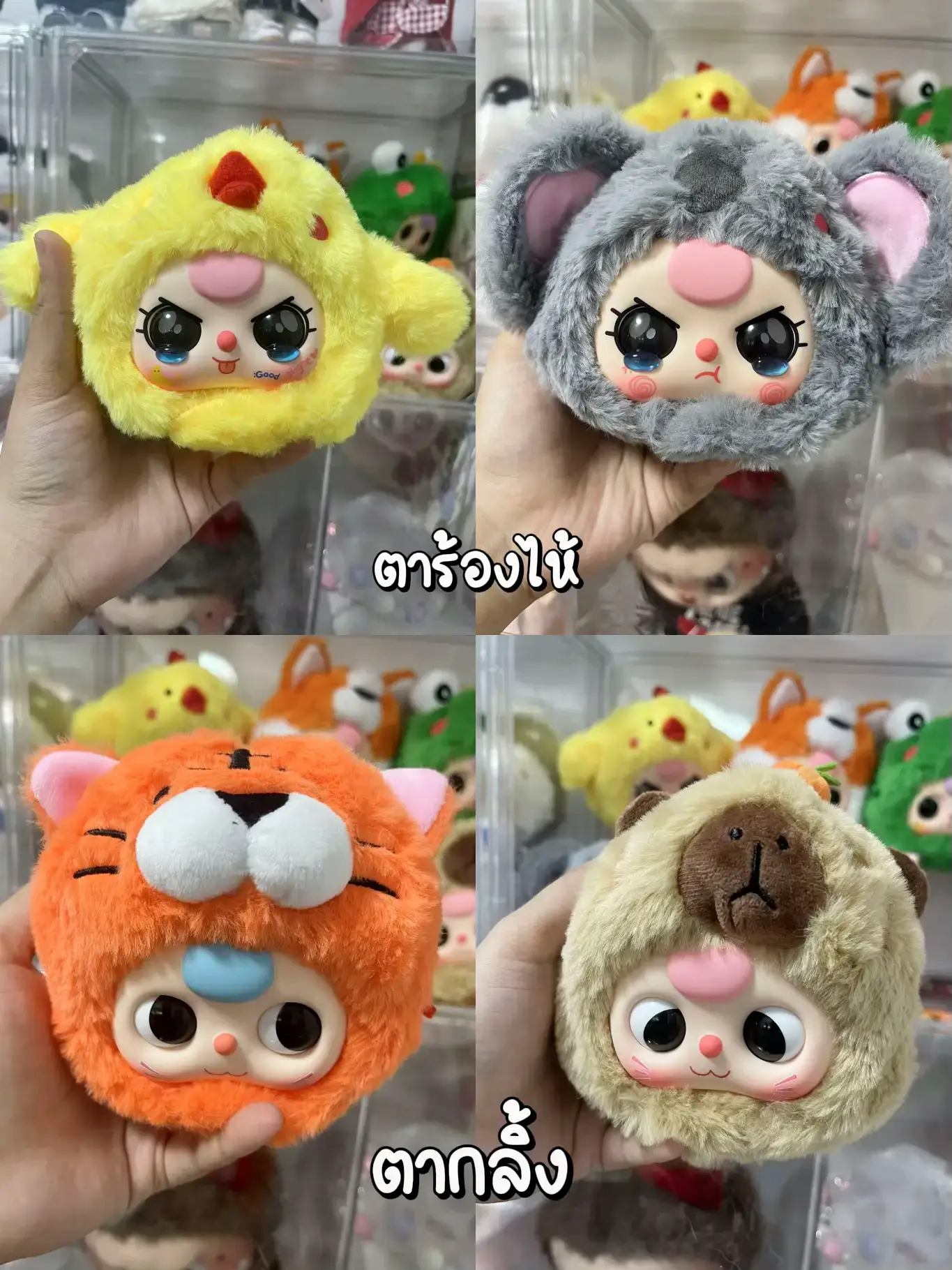 Baby Three V2 - การค้นหาใน Lemon8