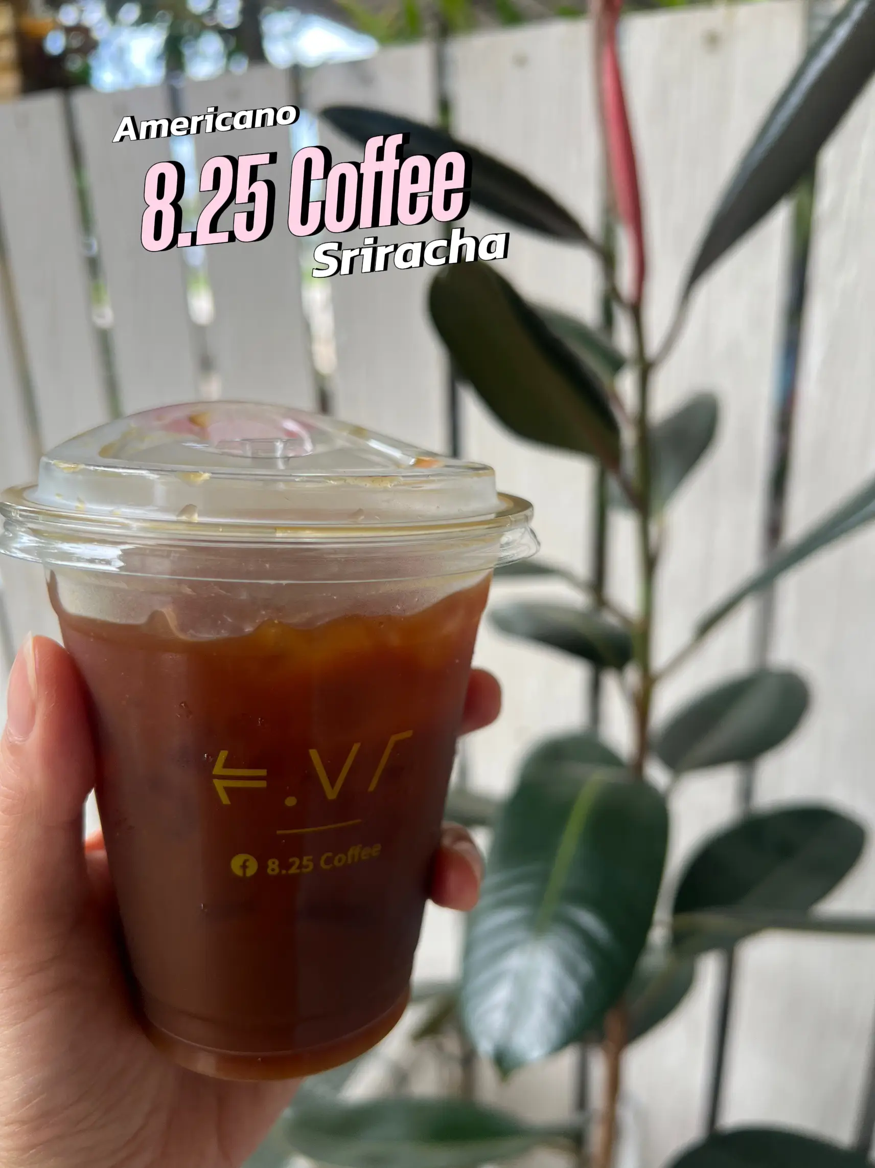 8.25 Coffee ร้านกาแฟดีบอกต่อ🥤 | แกลเลอรีที่โพสต์โดย Chill with Ae | Lemon8