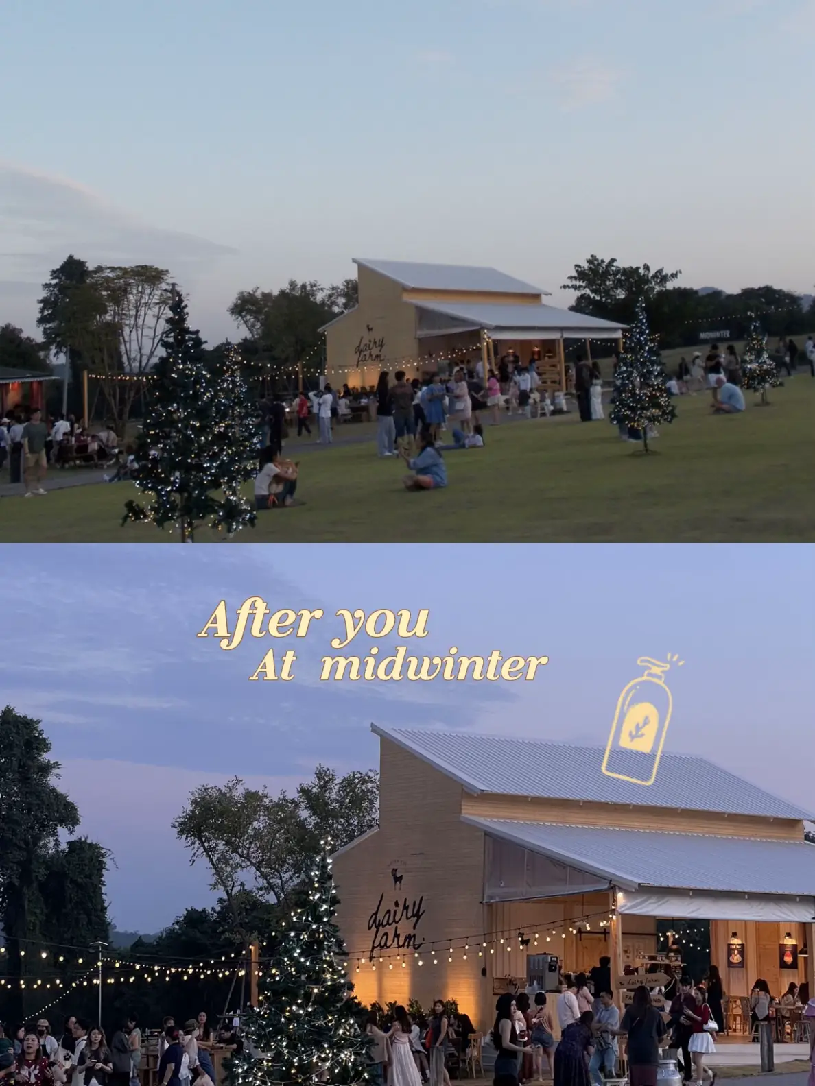 Midwinter khaoyai 2024 ☃️ ️🫧 | แกลเลอรีที่โพสต์โดย 𝑹𝒊𝒃𝒆𝒆𝒓 | Lemon8