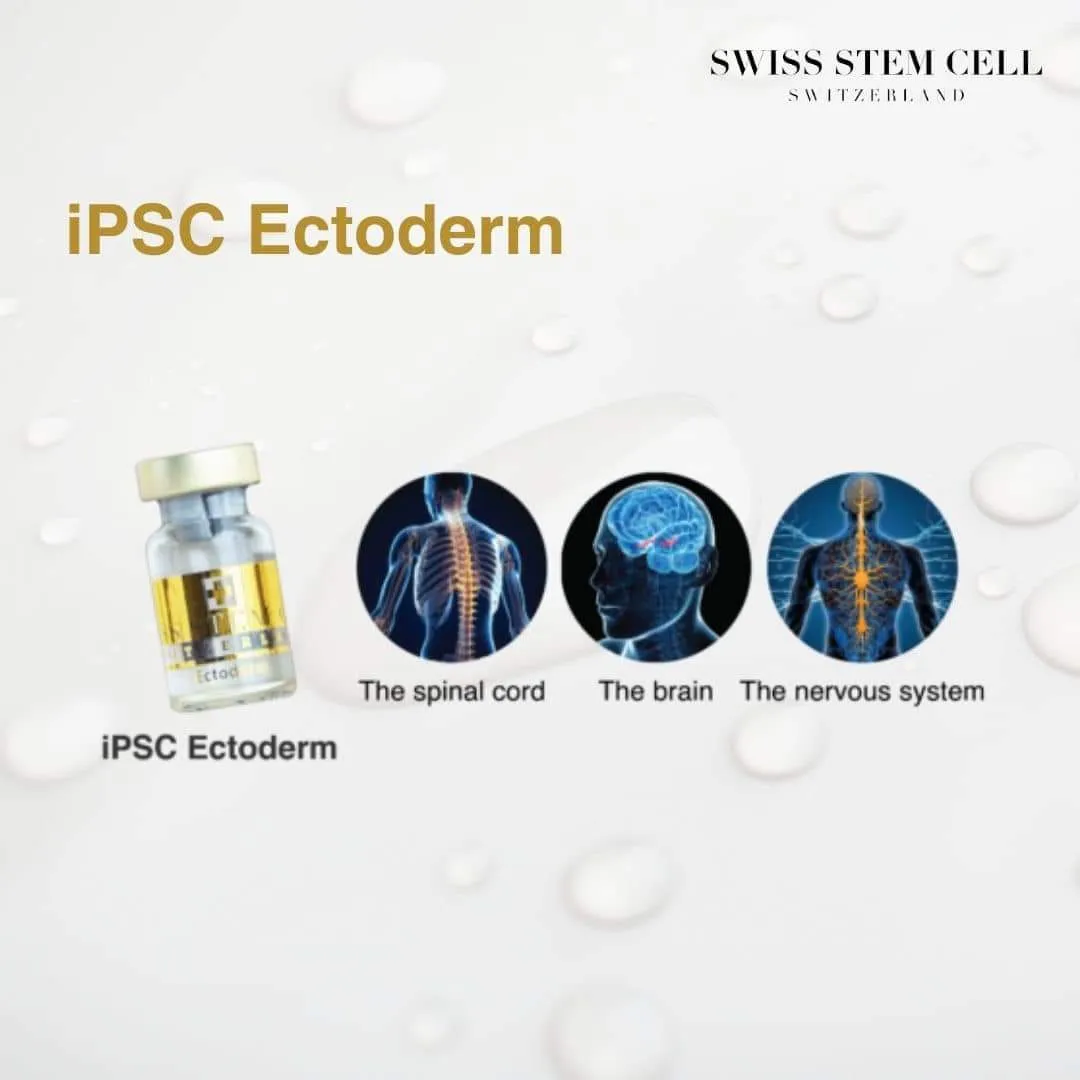 What do the 3 layers of Stem Cells in iPSCs do? | Galeri disiarkan oleh ...