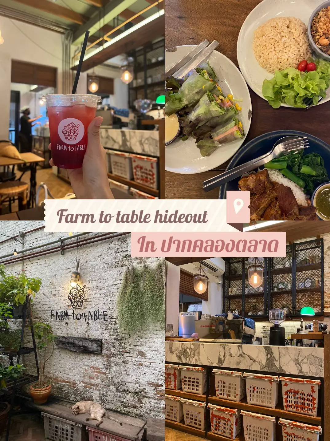 🌷🌼 farm to table hideout In ปากคลองตลาด | แกลเลอรีที่โพสต์โดย ...