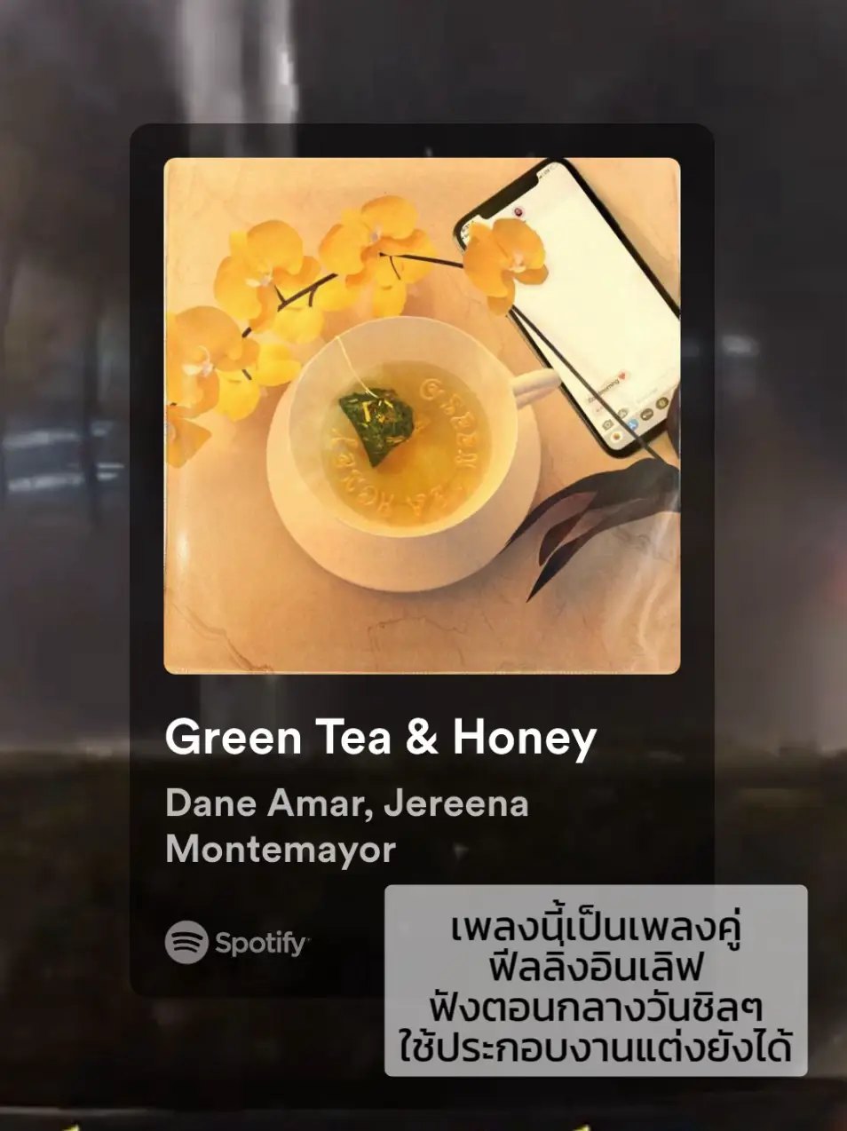 รวมเพลงสากลหวานๆ💗สำหรับคนคลั่งรัก🫶 | แกลเลอรีที่โพสต์โดย Mimidayo | Lemon8