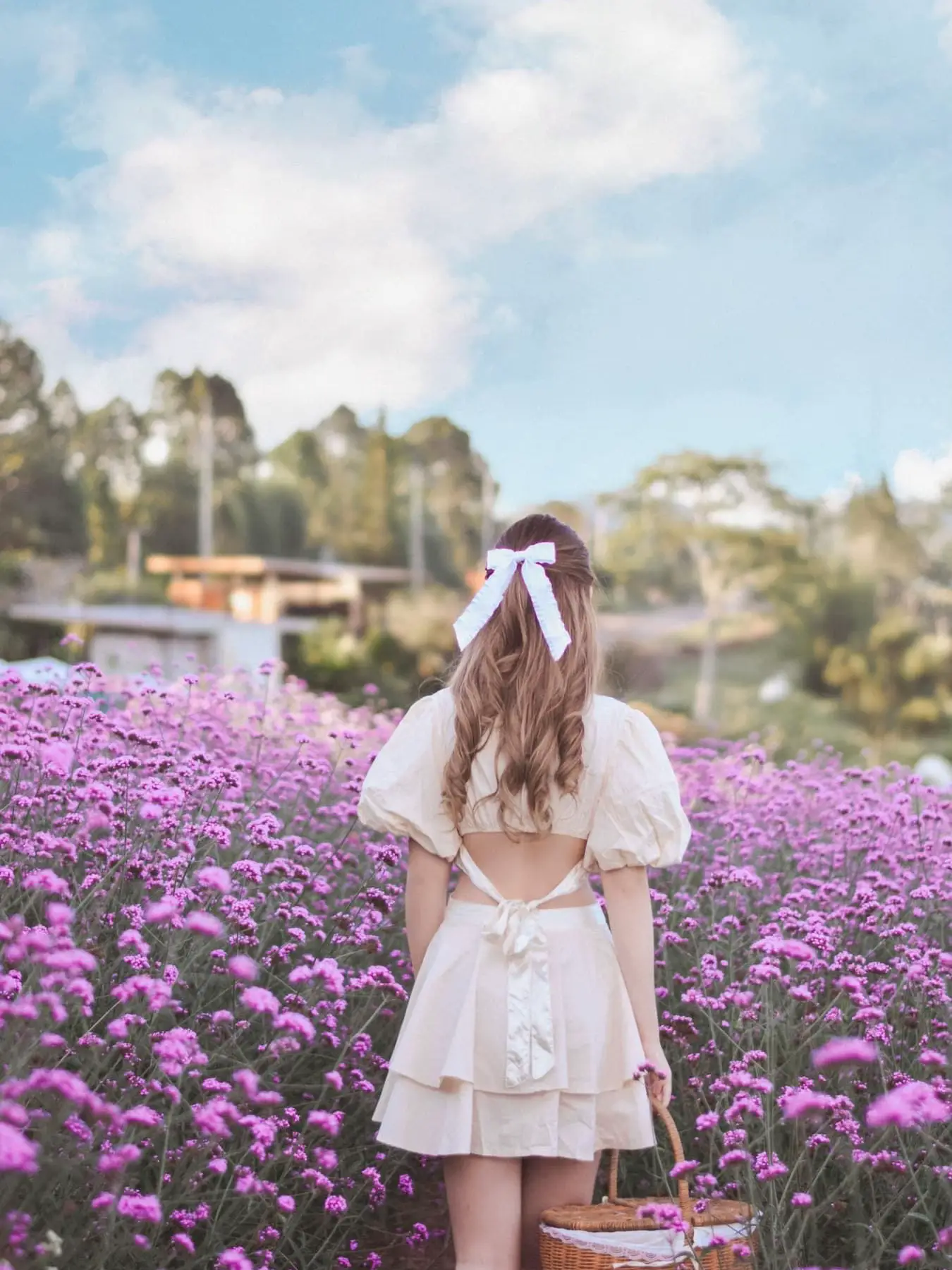 สวนดอกไม้ B.N Farm 🌷 เขาค้อ | แกลเลอรีที่โพสต์โดย janeponyyy | Lemon8