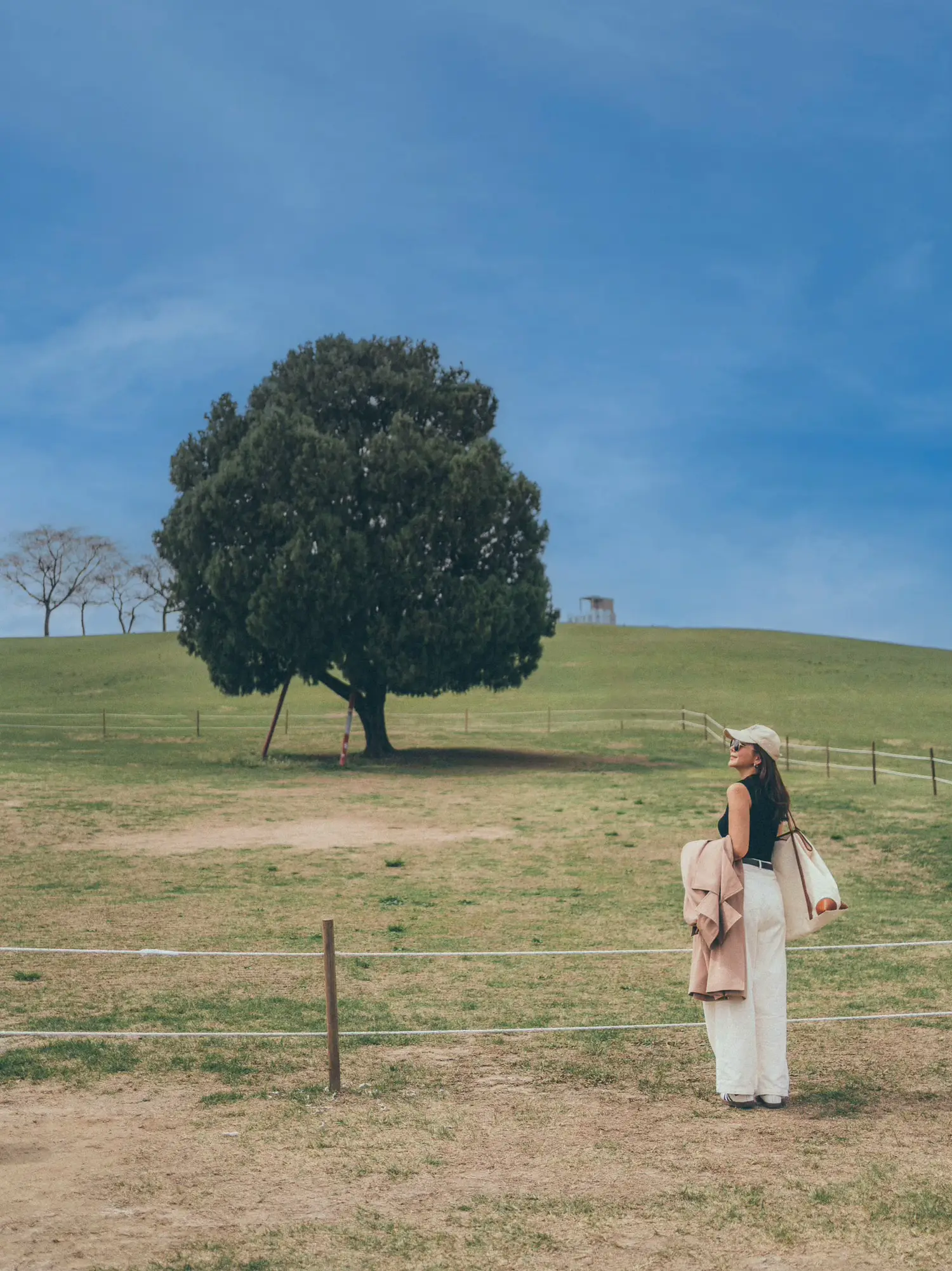 ALONE TREE 🌳 x OLYMPIC PARK Seoul | Gallery posted by Whenwewander | Lemon8