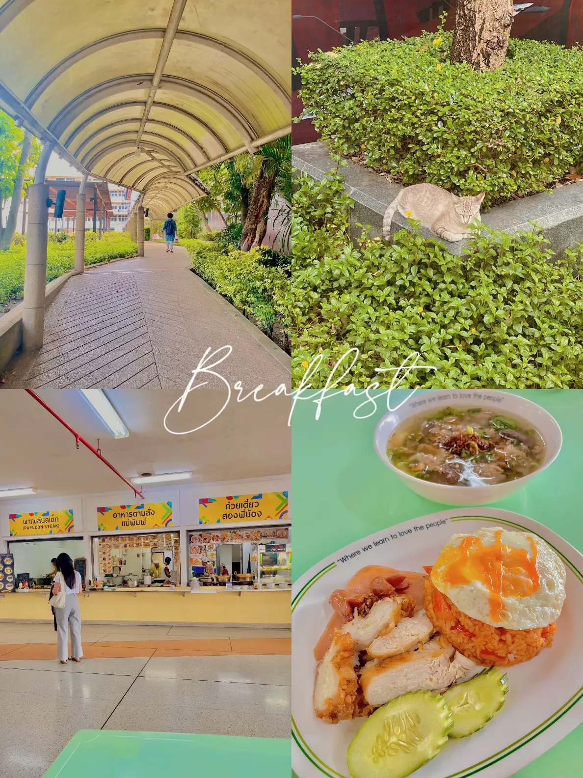 One day with a master's student. 💖 | Gallery posted by Paint♾️ | Lemon8