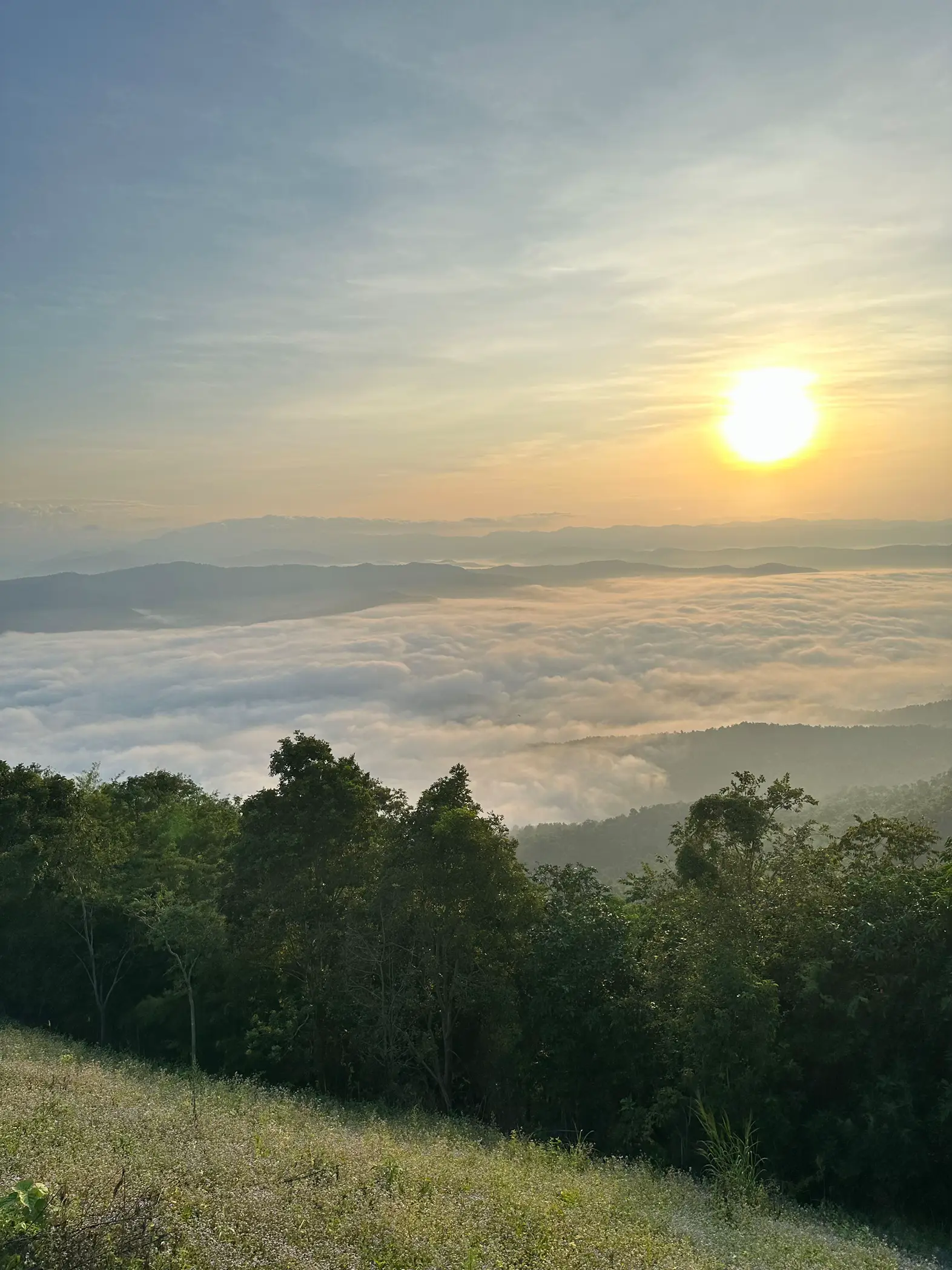 SOMEWHERE (ดอยเสมอดาว) | แกลเลอรีที่โพสต์โดย ACE | Lemon8