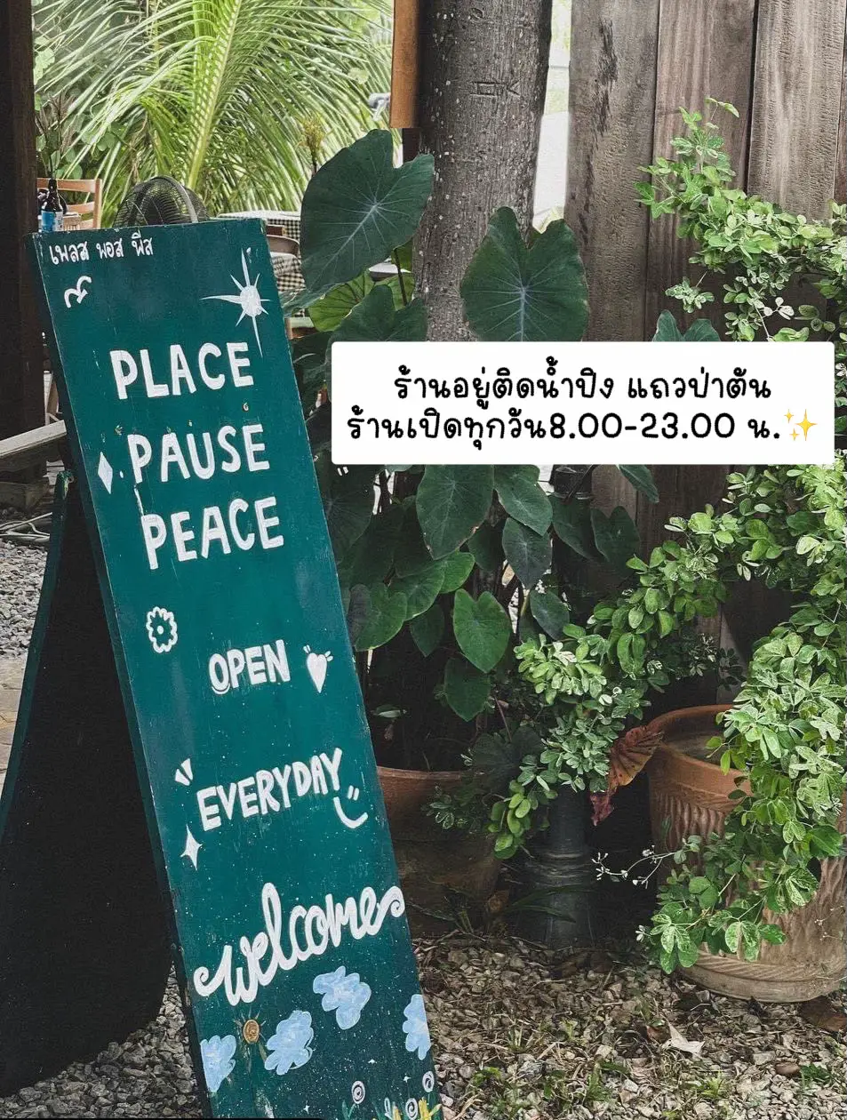 📍คาเฟ่สำหรับสายอาร์ติส PLACE PAUSE PEACE | แกลเลอรีที่โพสต์โดย ...