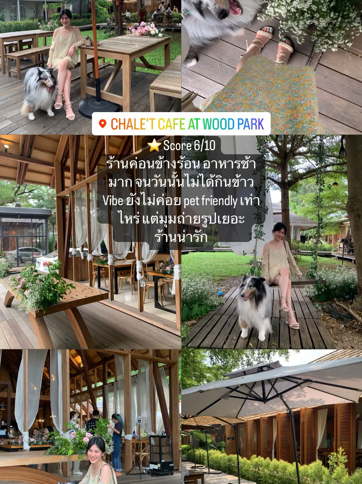 5 Pet friendly cafe EP 2 | แกลเลอรีที่โพสต์โดย jinnyginnie🧞‍♂ | Lemon8
