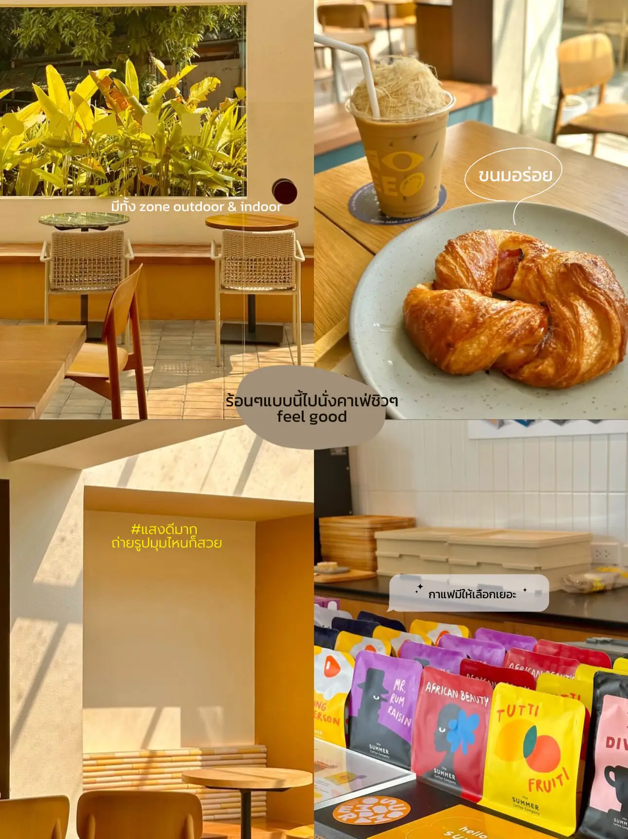 รีวิวคาเฟ่ อยุธยา 🥤☕️ | แกลเลอรีที่โพสต์โดย beam☀️ | Lemon8
