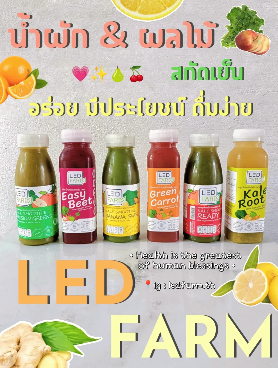 ผักเคล (Kale) ประโยชน์ โทษที่ต้องรู้ และวิธีกินให้ดีต่อสุขภาพ | แกลเลอรีที่โพสต์โดย PloyPloy ...