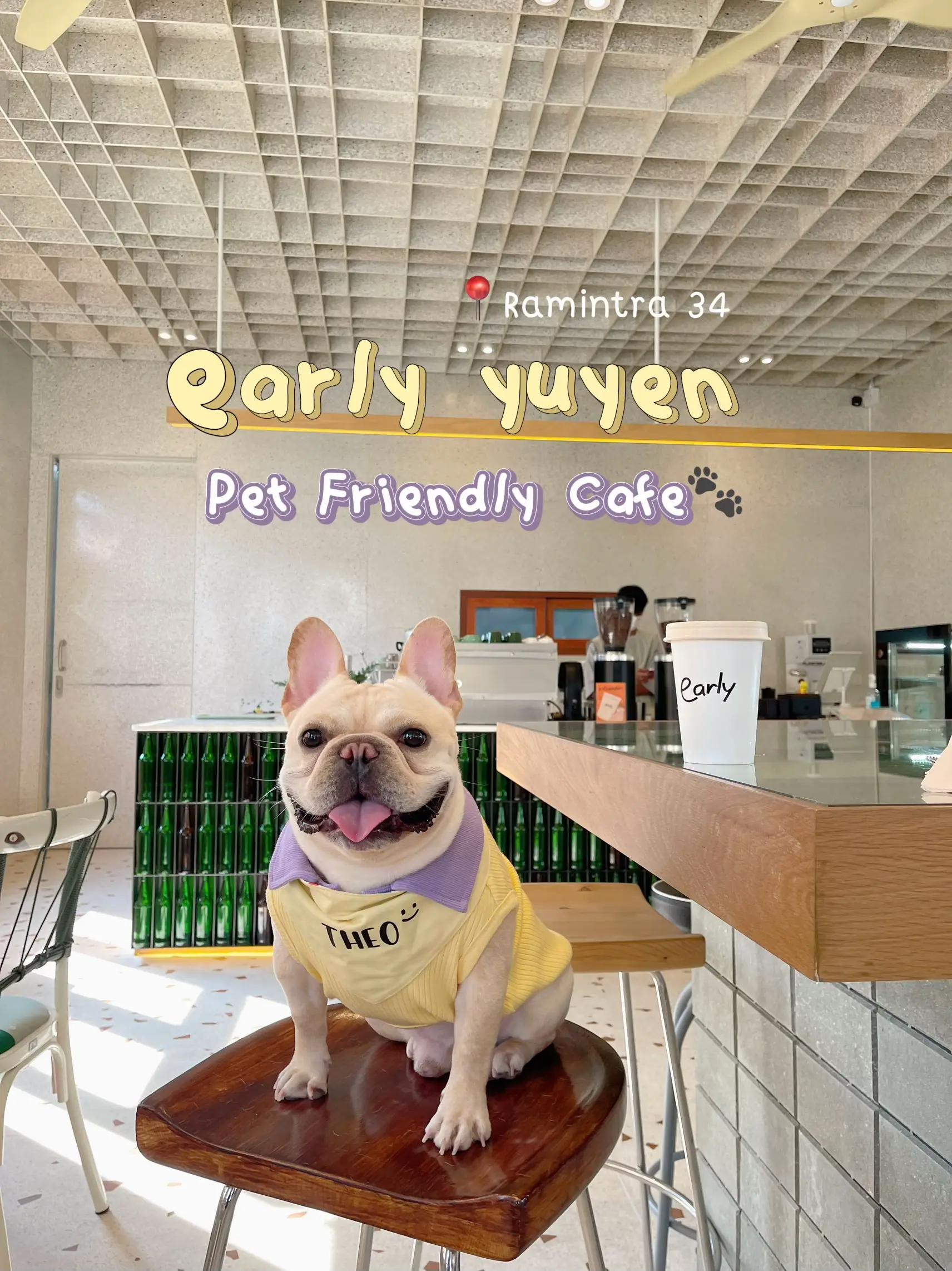 Early bkk คาเฟ่รักษ์โลก ย่านรามอินทรา น้องหมาเข้าได้ 🌍🐶🐾 | แกลเลอรีที่ ...