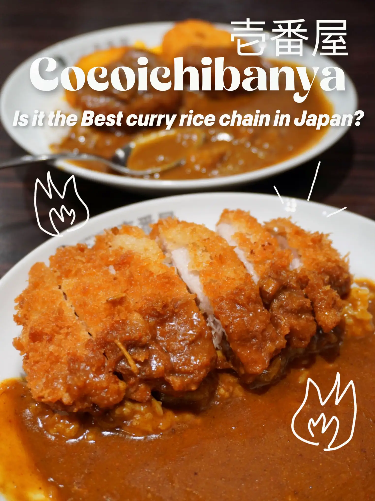 The Best Curry Rice Chain in Japan 🍛 | Gallery posted by Brenda 𓃦 | Lemon8