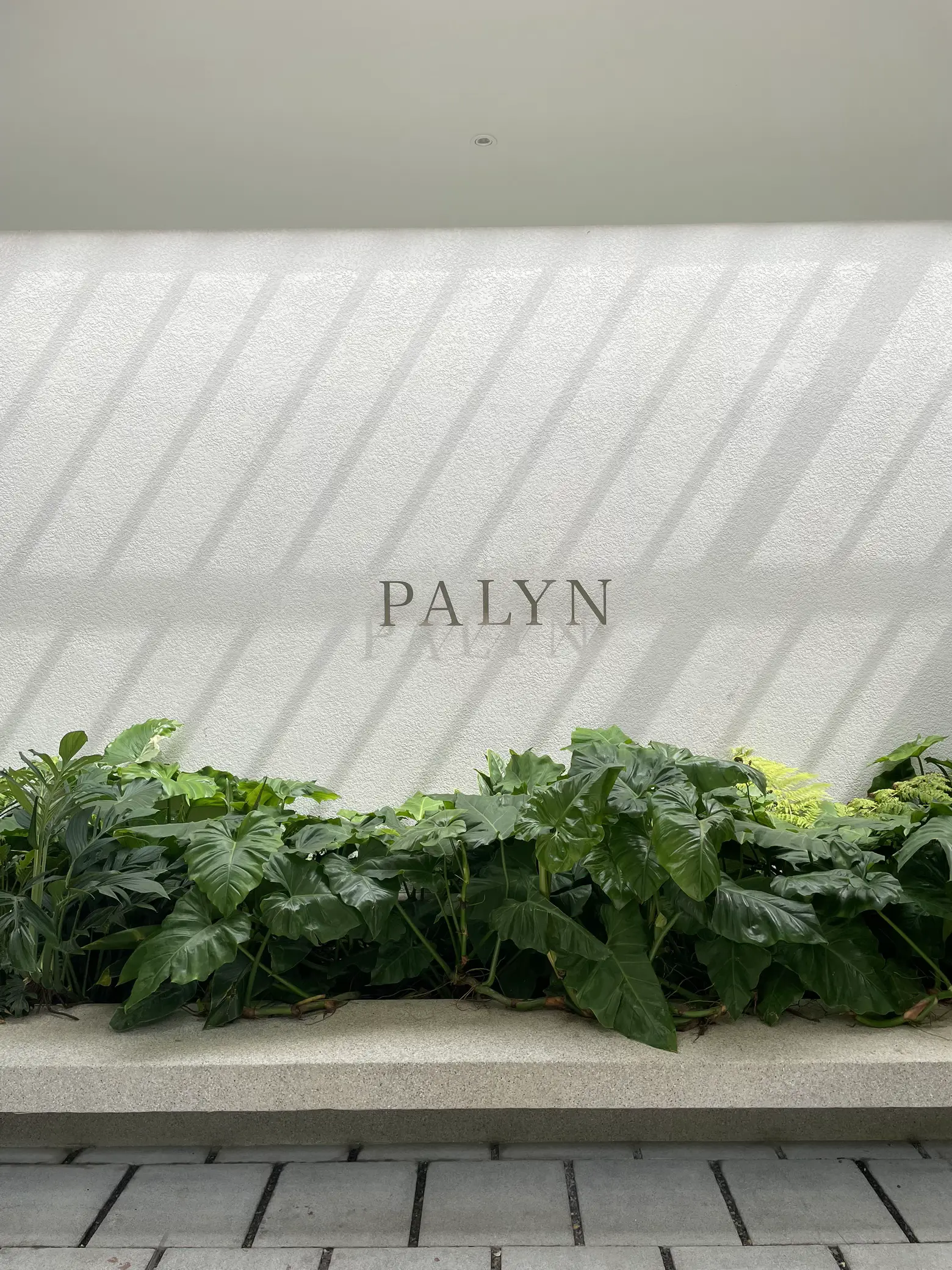 Palyn คาเฟ่ติดทะเล สัตหีบ 🌊 | แกลเลอรีที่โพสต์โดย JAJAH | Lemon8