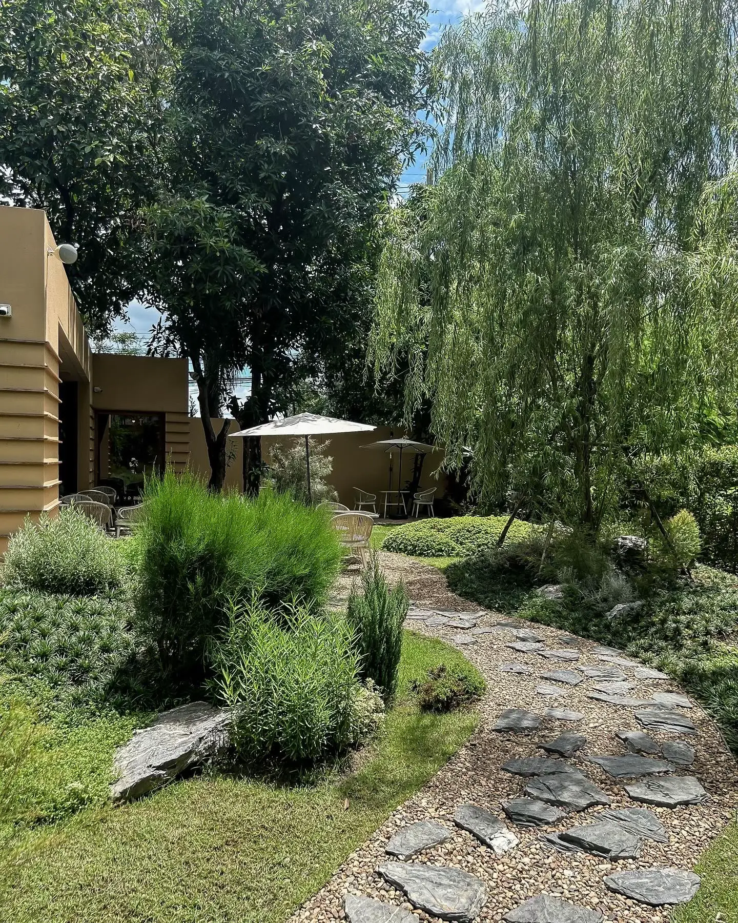 DORLE 📷📸 | แกลเลอรีที่โพสต์โดย แจนนี่ชอบคาเฟ่ | Lemon8