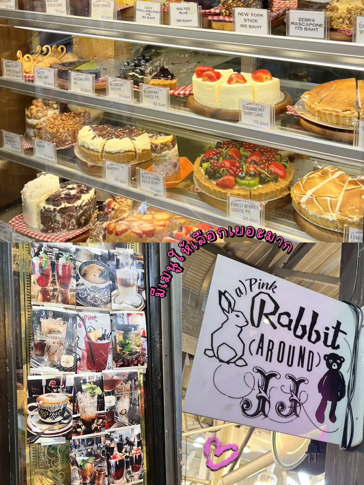 🐰A Pink Rabbit and Bob📌 ที่จตุจักร JJ | แกลเลอรีที่โพสต์โดย Bunnykukkik ...