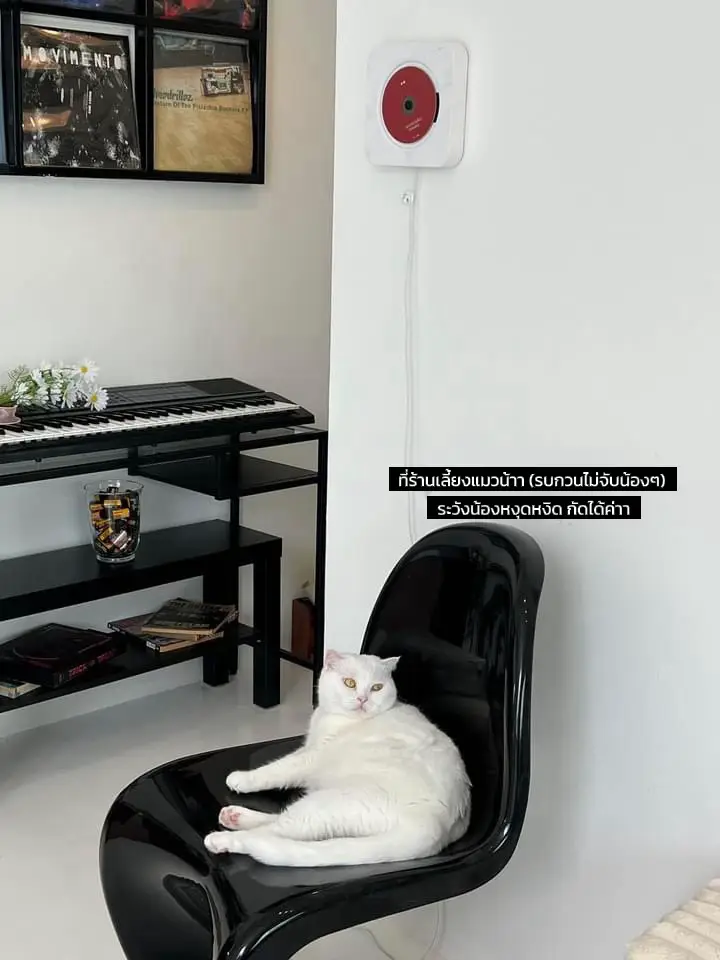 คาเฟ่ สตูดิโอ ห้องซ้อมดนตรี #รังสิต | แกลเลอรีที่โพสต์โดย HS STUDIO | Lemon8