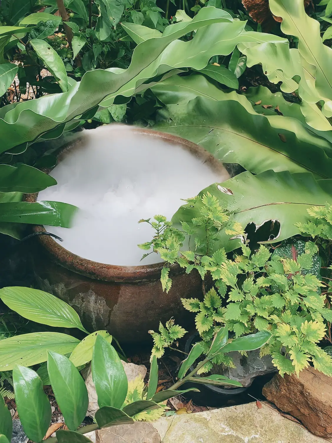 🍰 หลงคลอง คาเฟ่ ☕️ | แกลเลอรีที่โพสต์โดย Mo KB | Lemon8