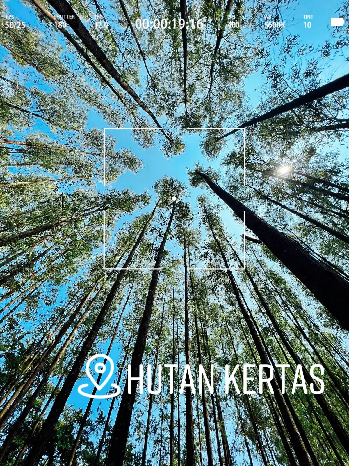 Anna Banana menyiarkan sumbang | Galeri disiarkan oleh Anna Banana | Lemon8